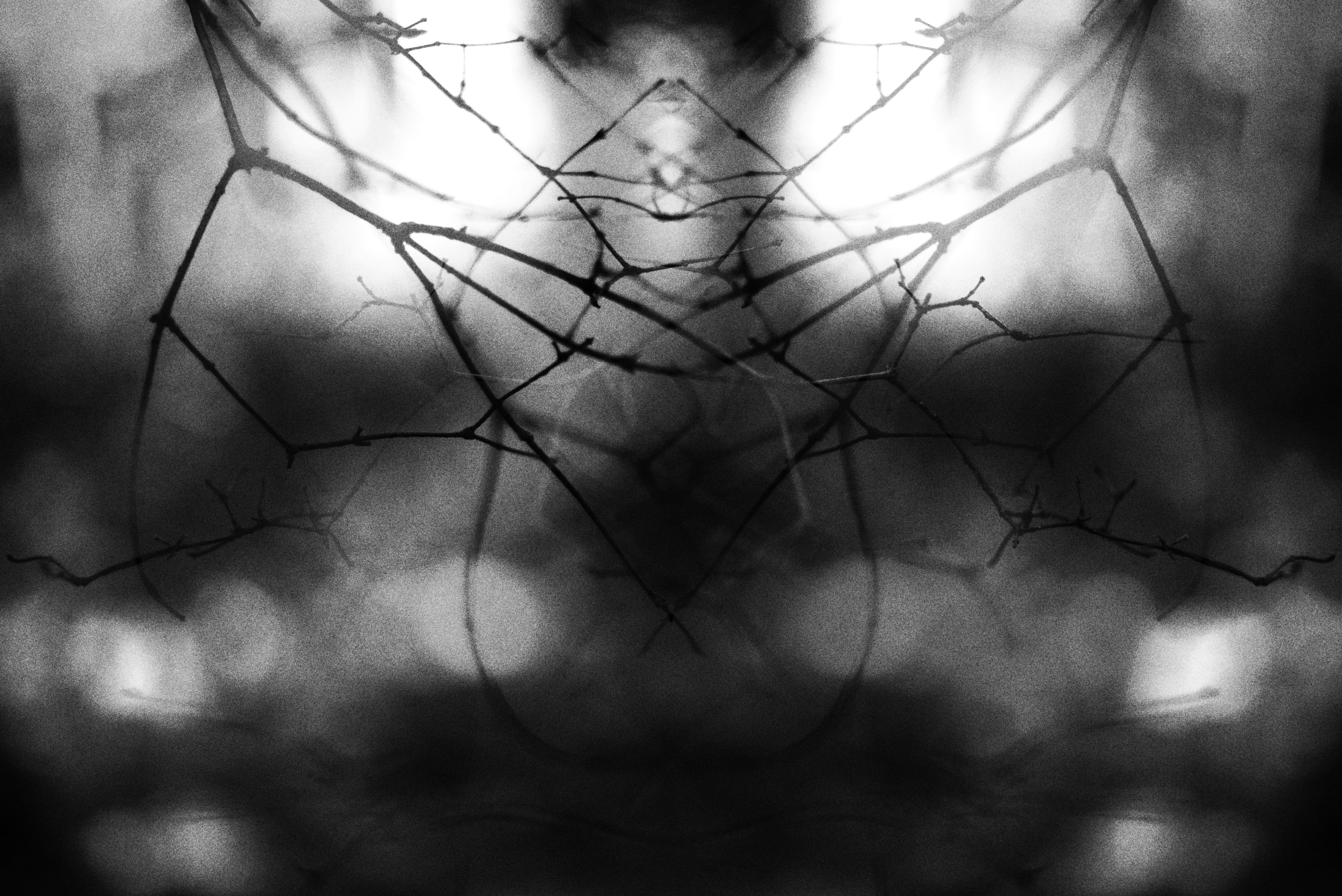 A spooky, abstract arrangement of branches. photo – Free Human Image on ...
