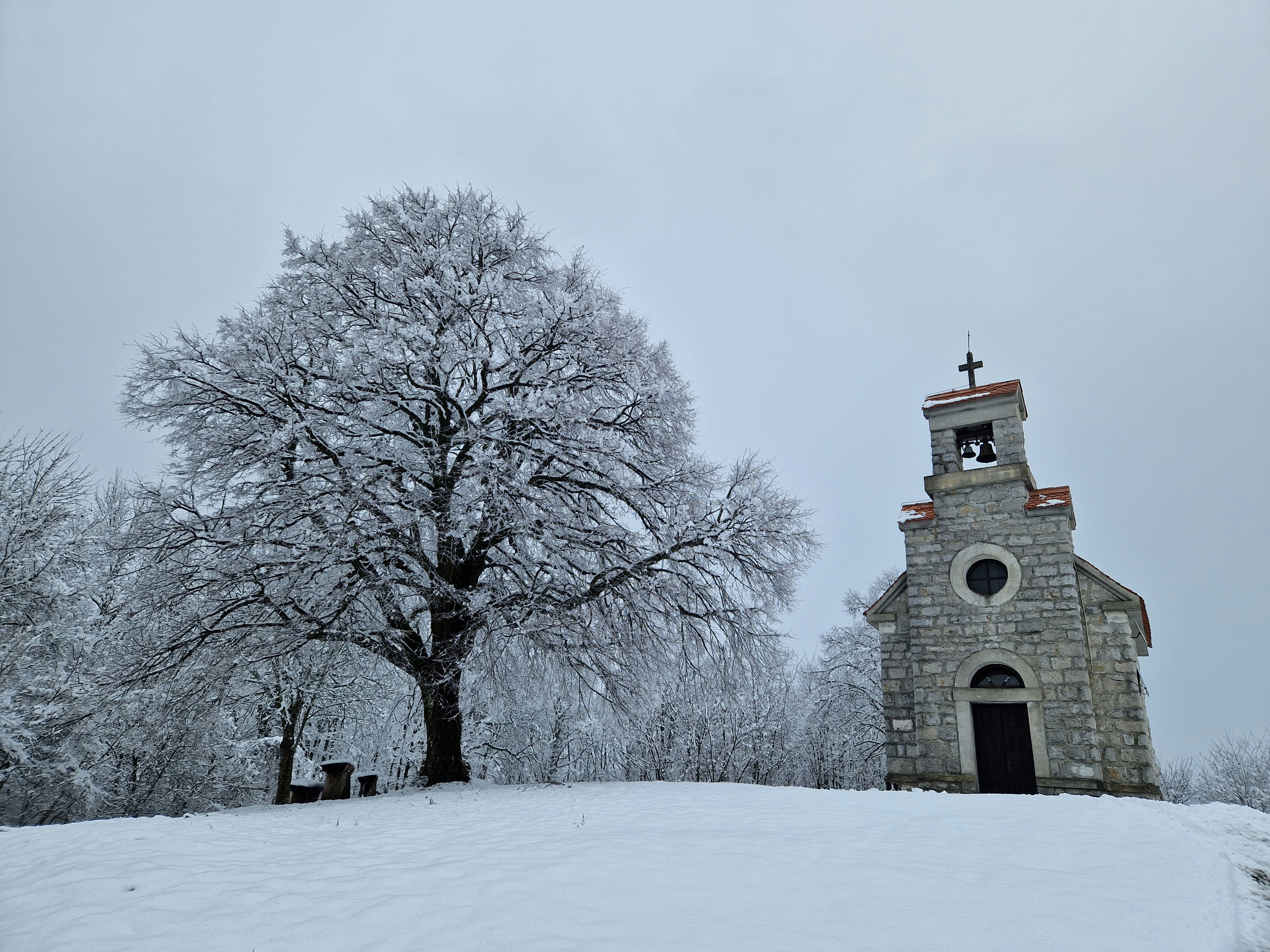 Snow-covered tree beside a quaint stone chapel under a cloudy sky.