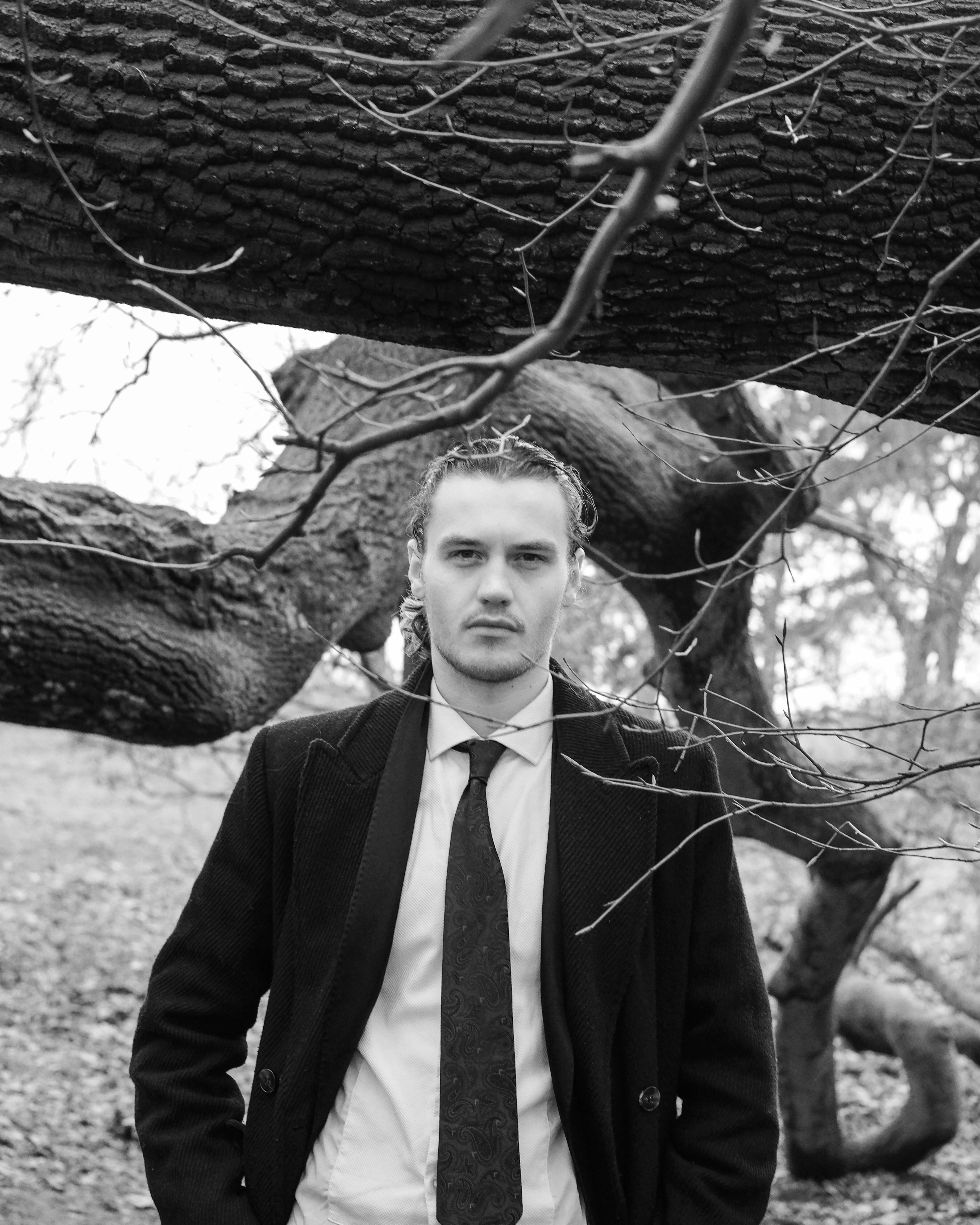 A man poses by a tree. photo – Free Forest Image on Unsplash