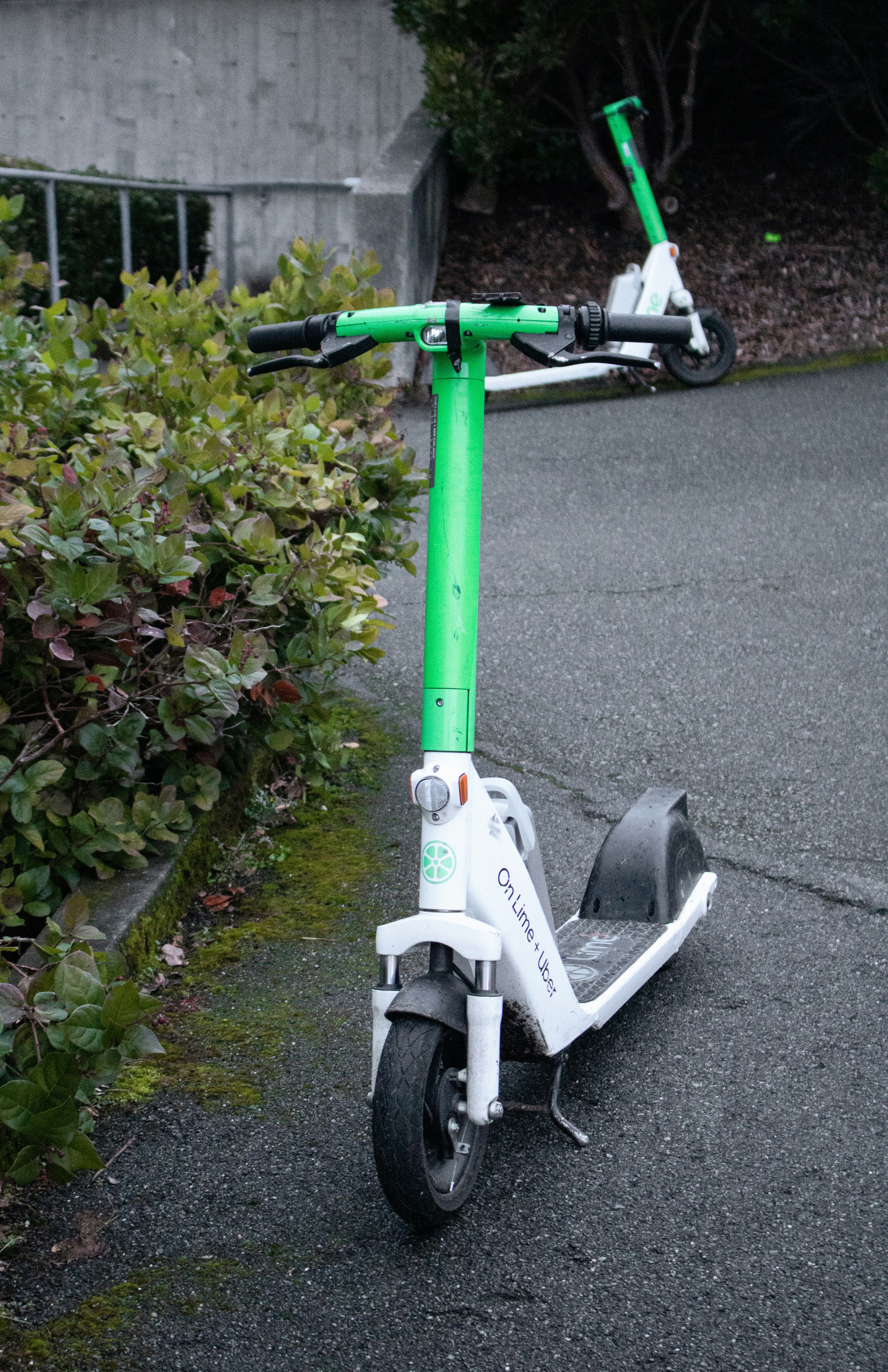 Zwei Limettenroller stehen auf einem gepflasterten Gehweg. Foto ...