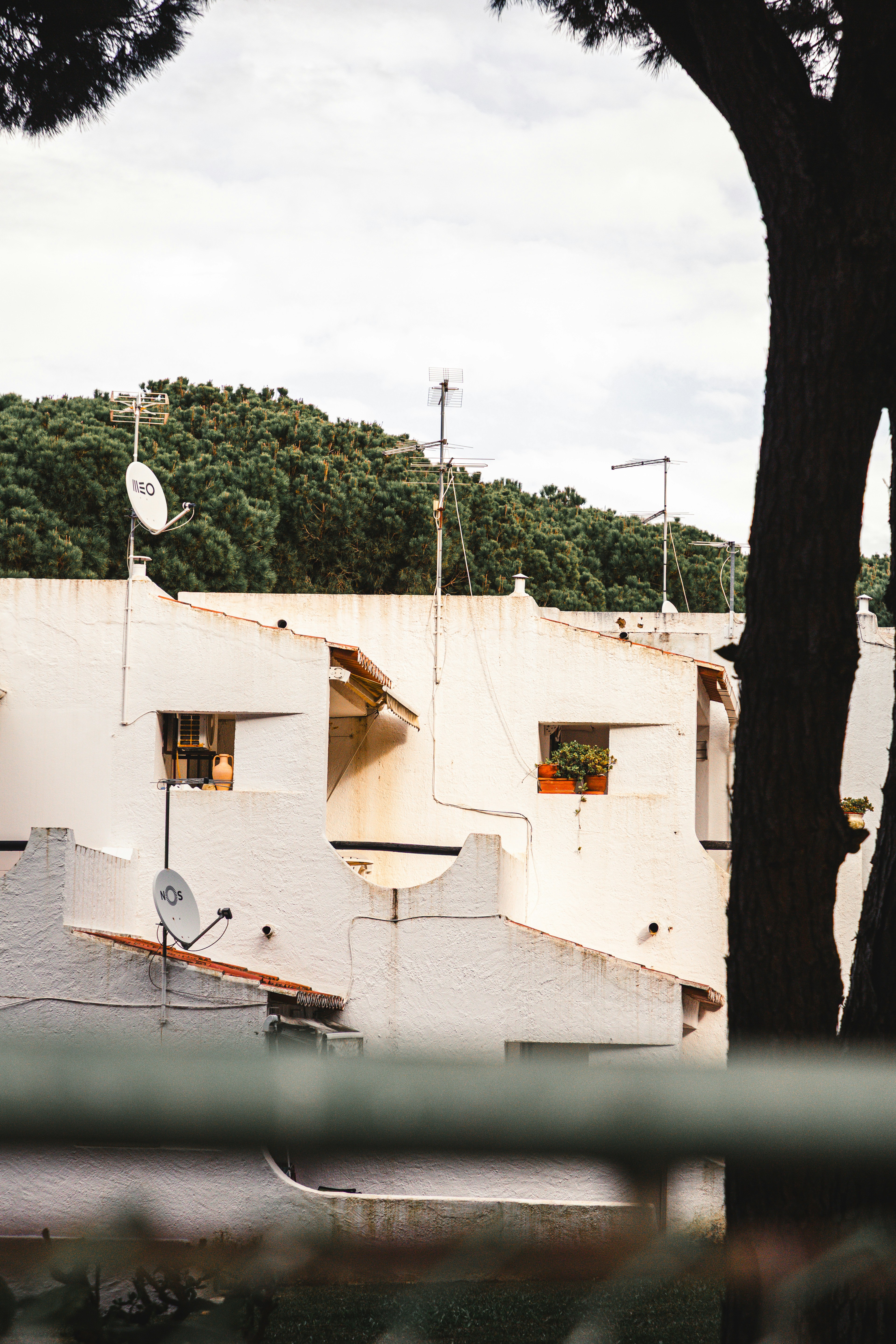 White residential buildings interspersed with greenery and satellite dishes, showcasing a blend of urban architecture and nature.