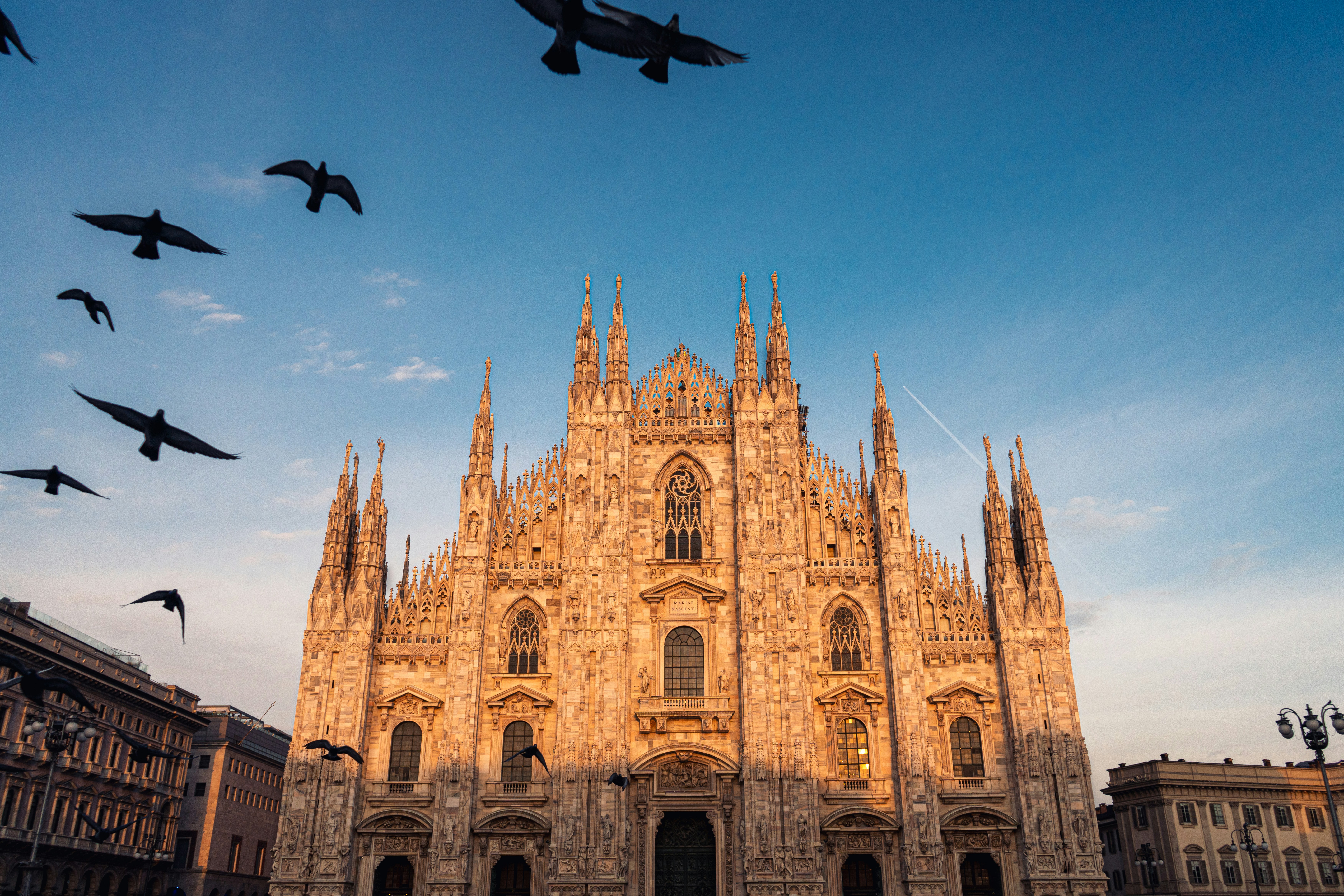 Flock of birds gracefully flying past the illuminated facade of Milan Cathedral at sunset.