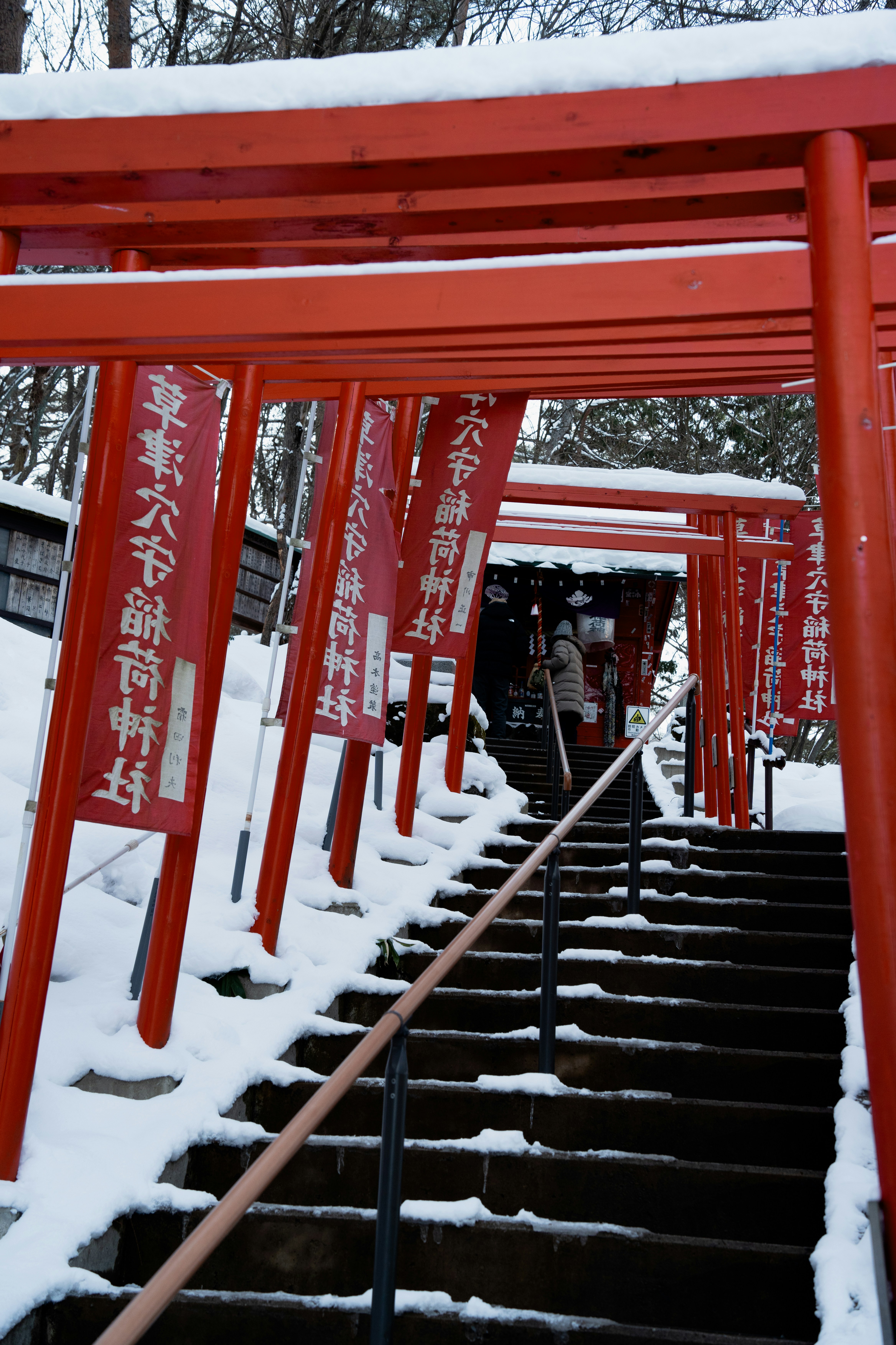 Journey Through the Torii Gates: A Path of Tradition