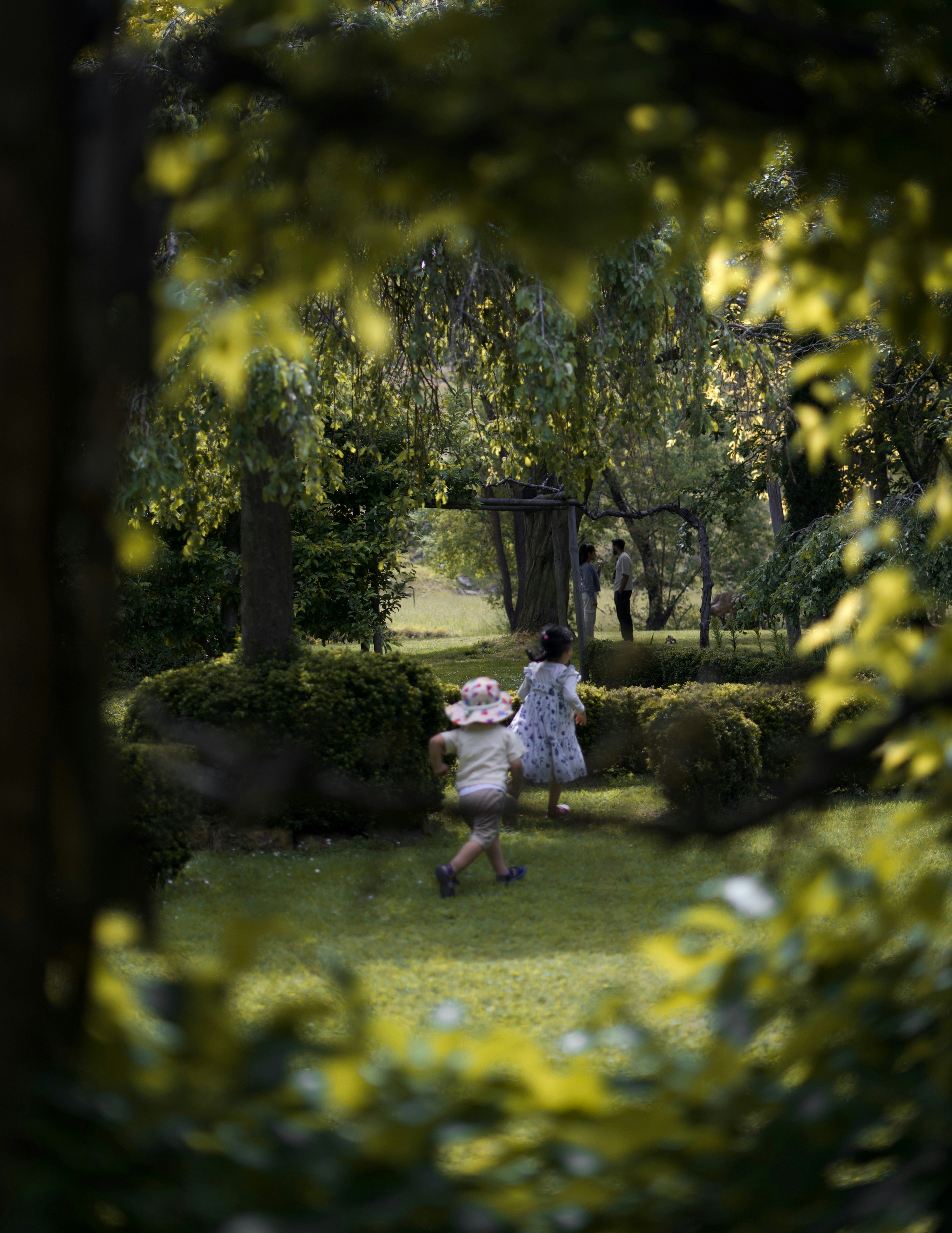 Dappled Light Parade: Children at Play Along a Garden Path