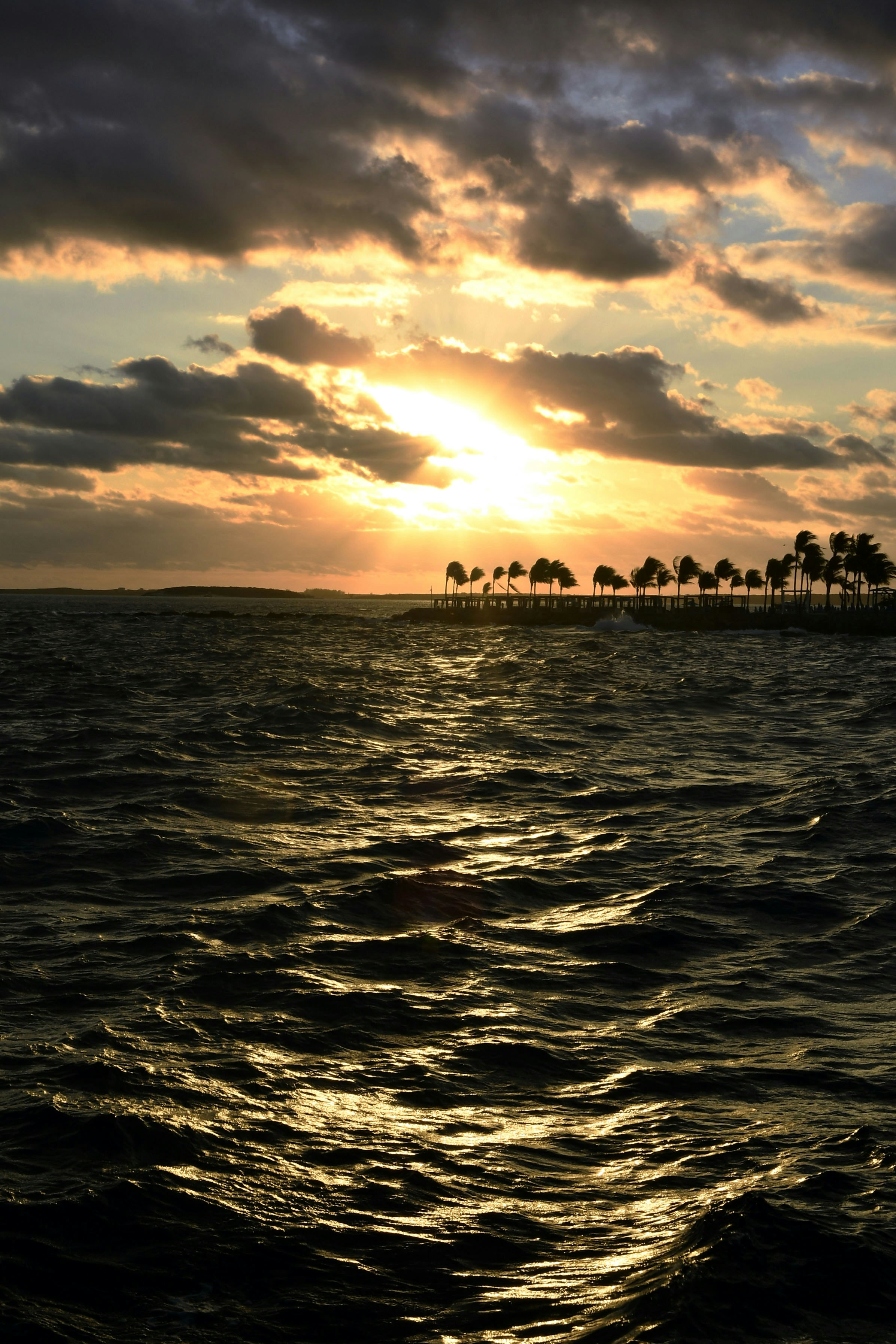 Sunlit silhouettes along a palm-lined pier at dusk