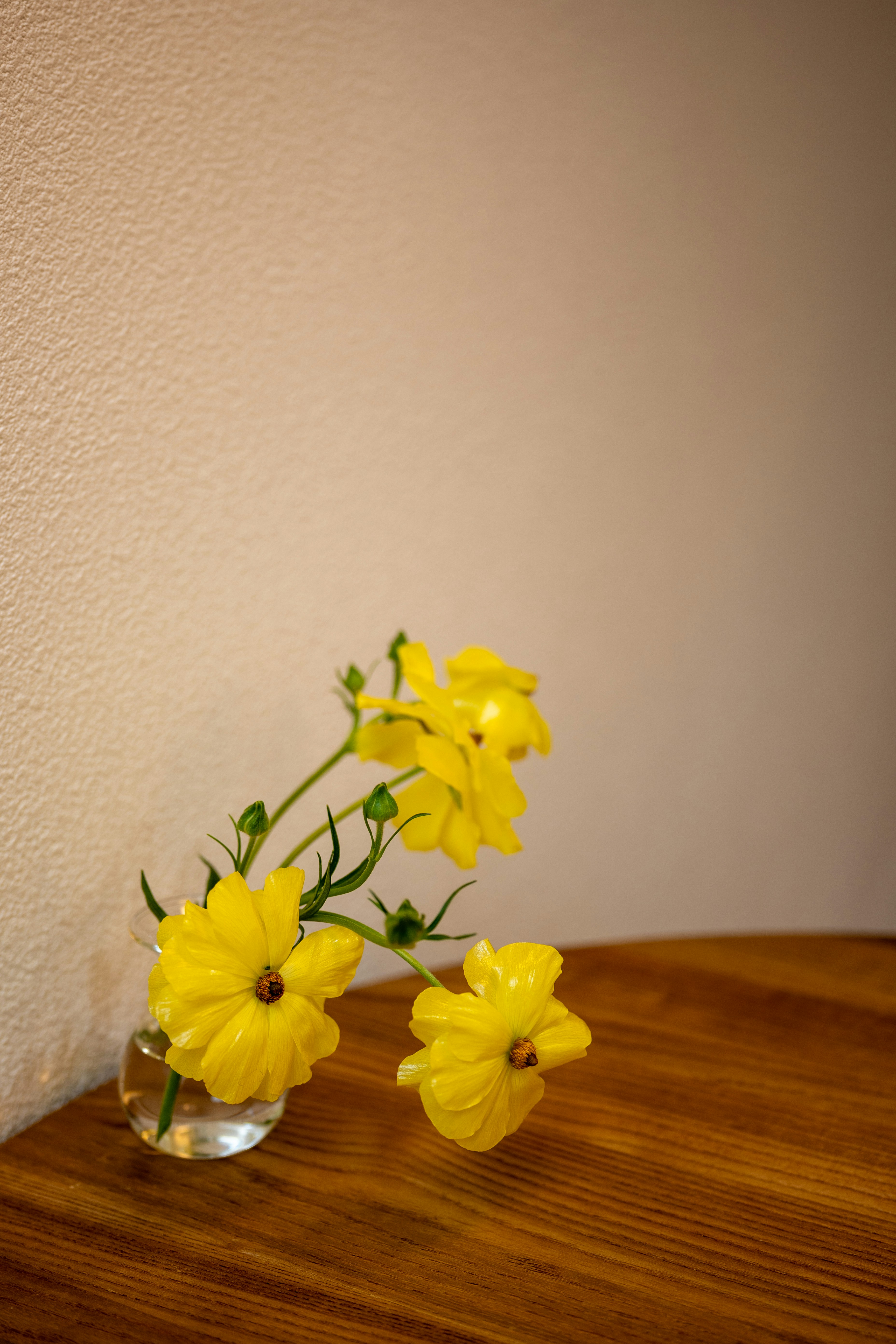 Yellow flowers in a small glass vase rest on a warm wooden table against a neutral wall, captured in soft interior light.
