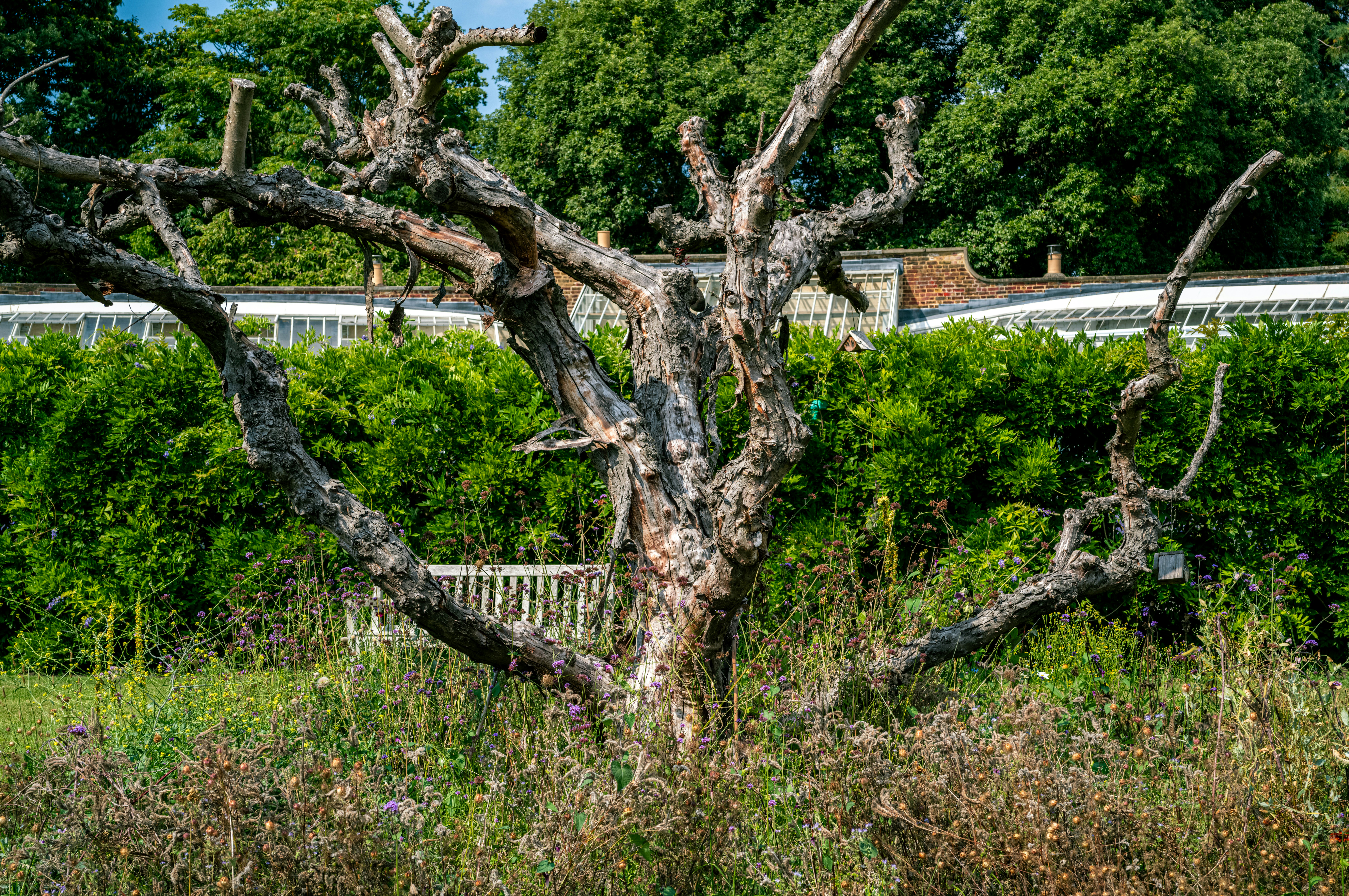 Whispers of a Weathered Sentinel