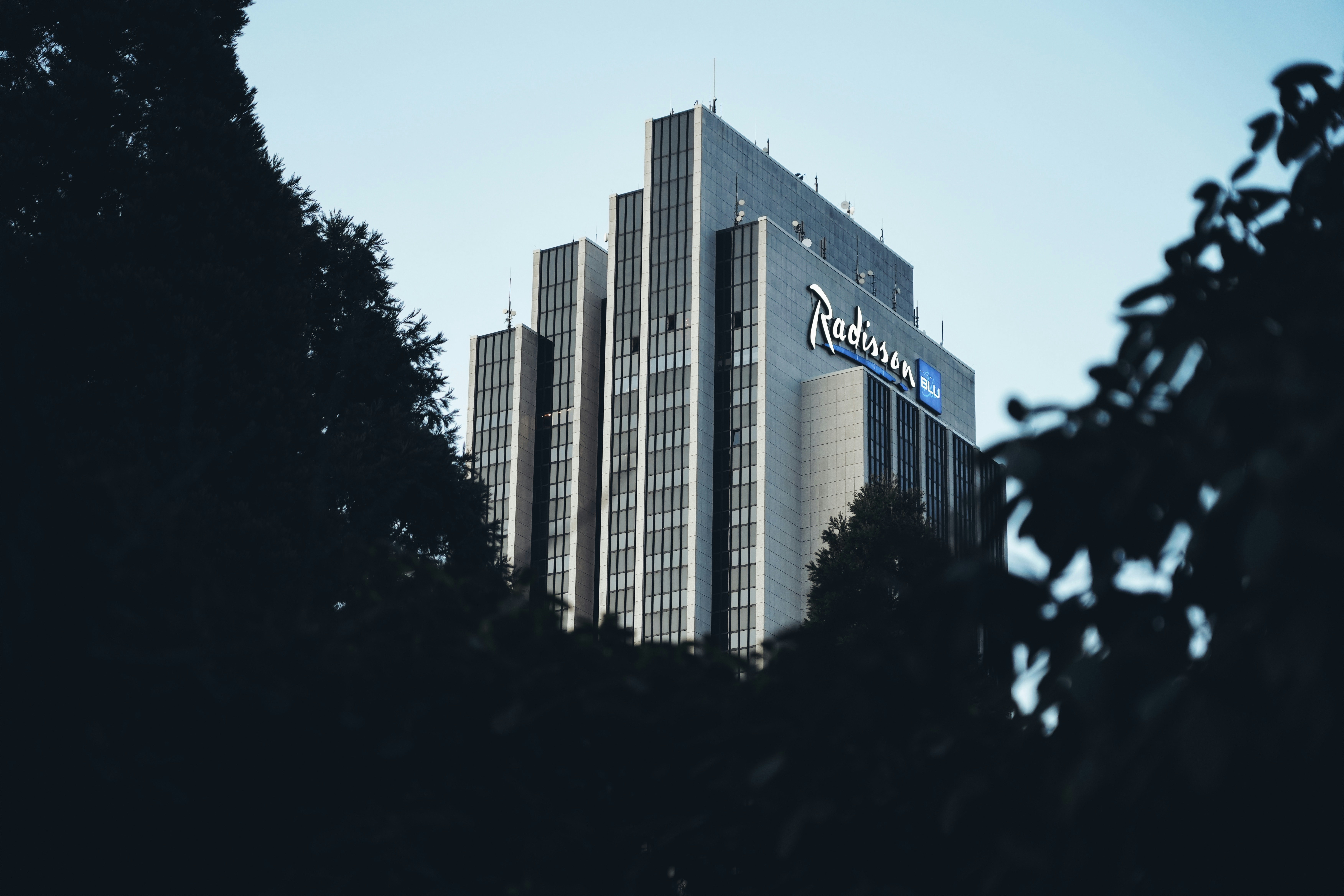 Modern skyscraper with Radisson Blu sign framed by dark tree silhouettes against a clear sky.