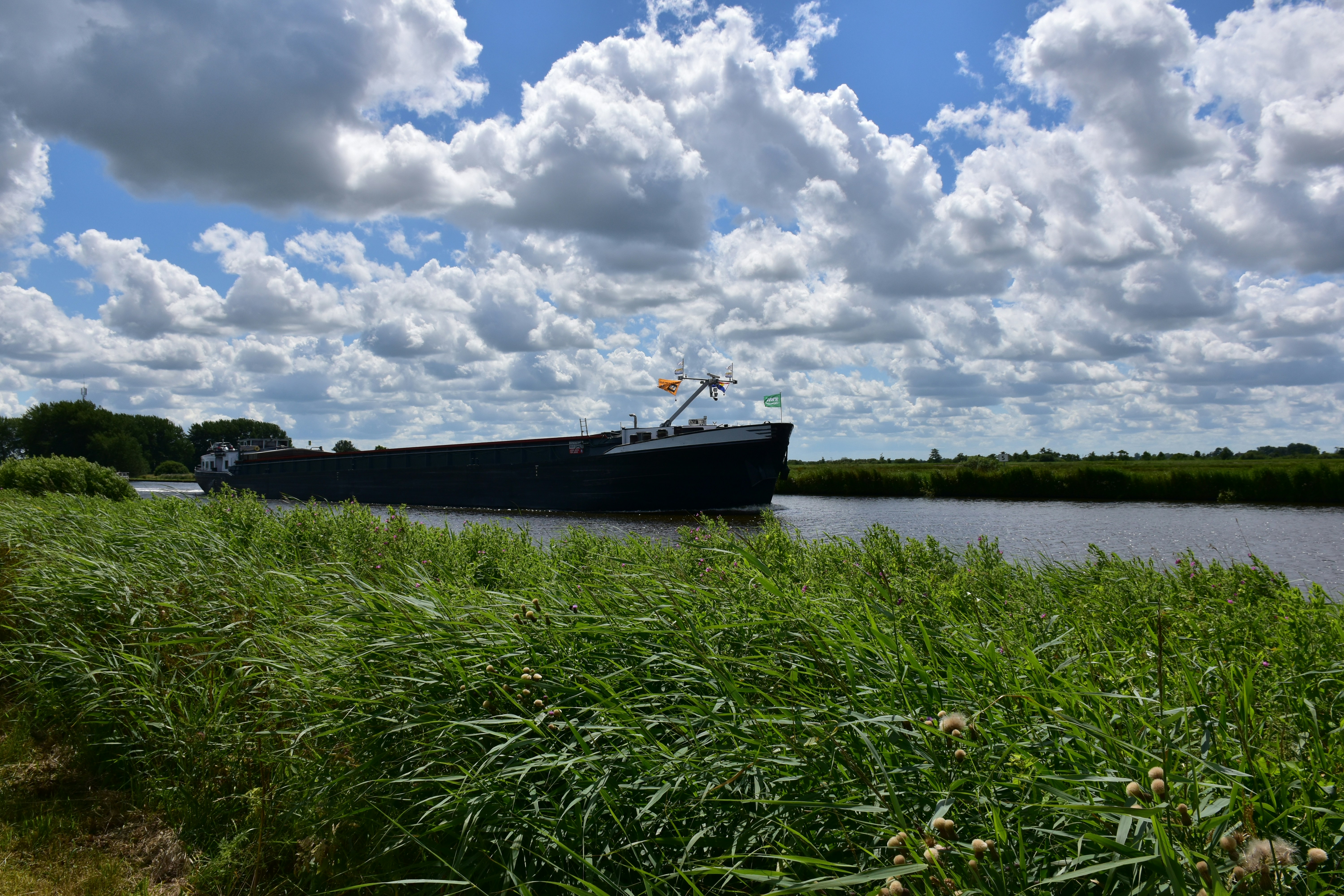 Iron Behemoth on the Quiet River, Framed by Reeds