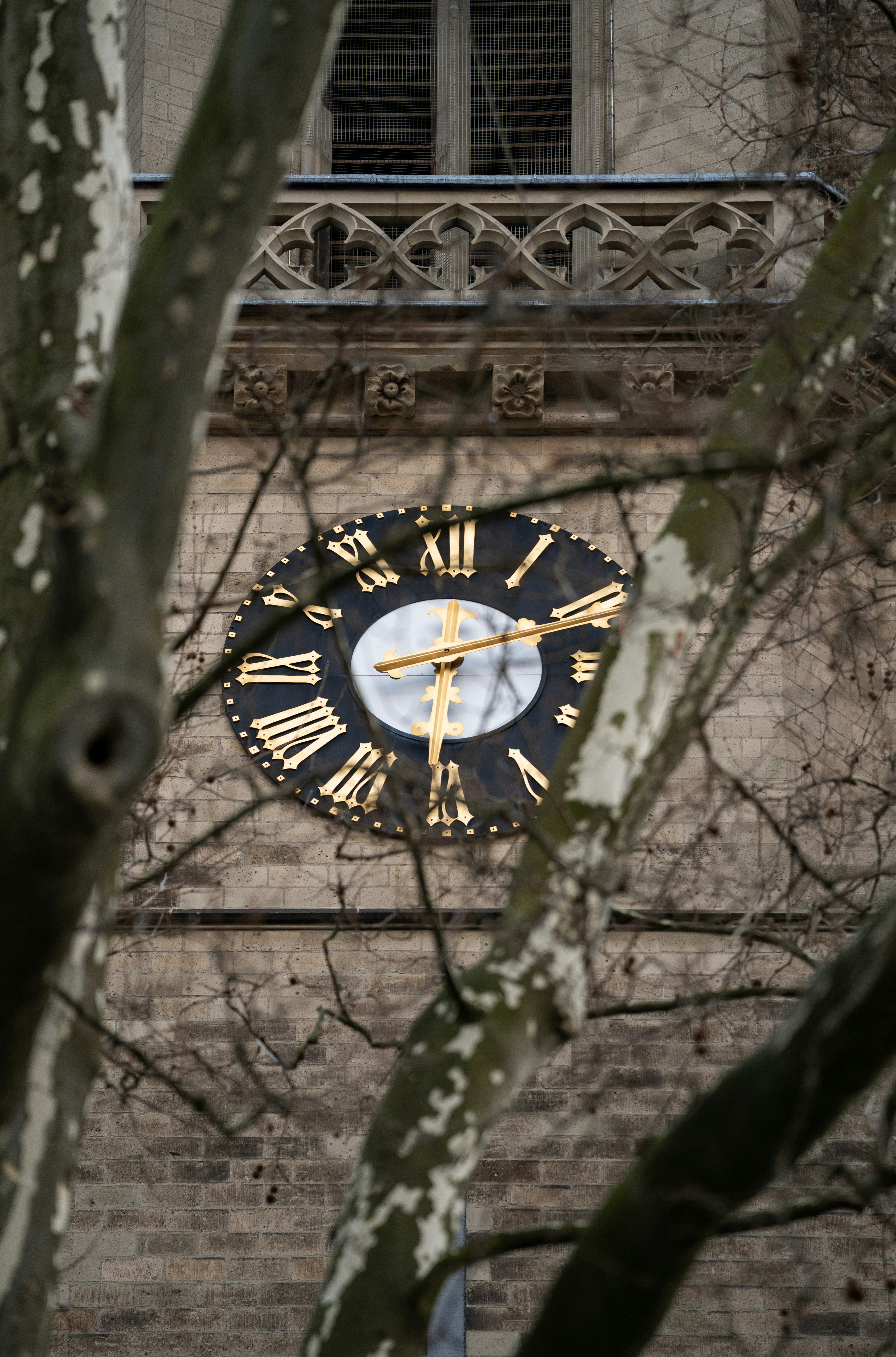 Photo by Soroush H. Zargarbashi with Sony Alpha 7 III