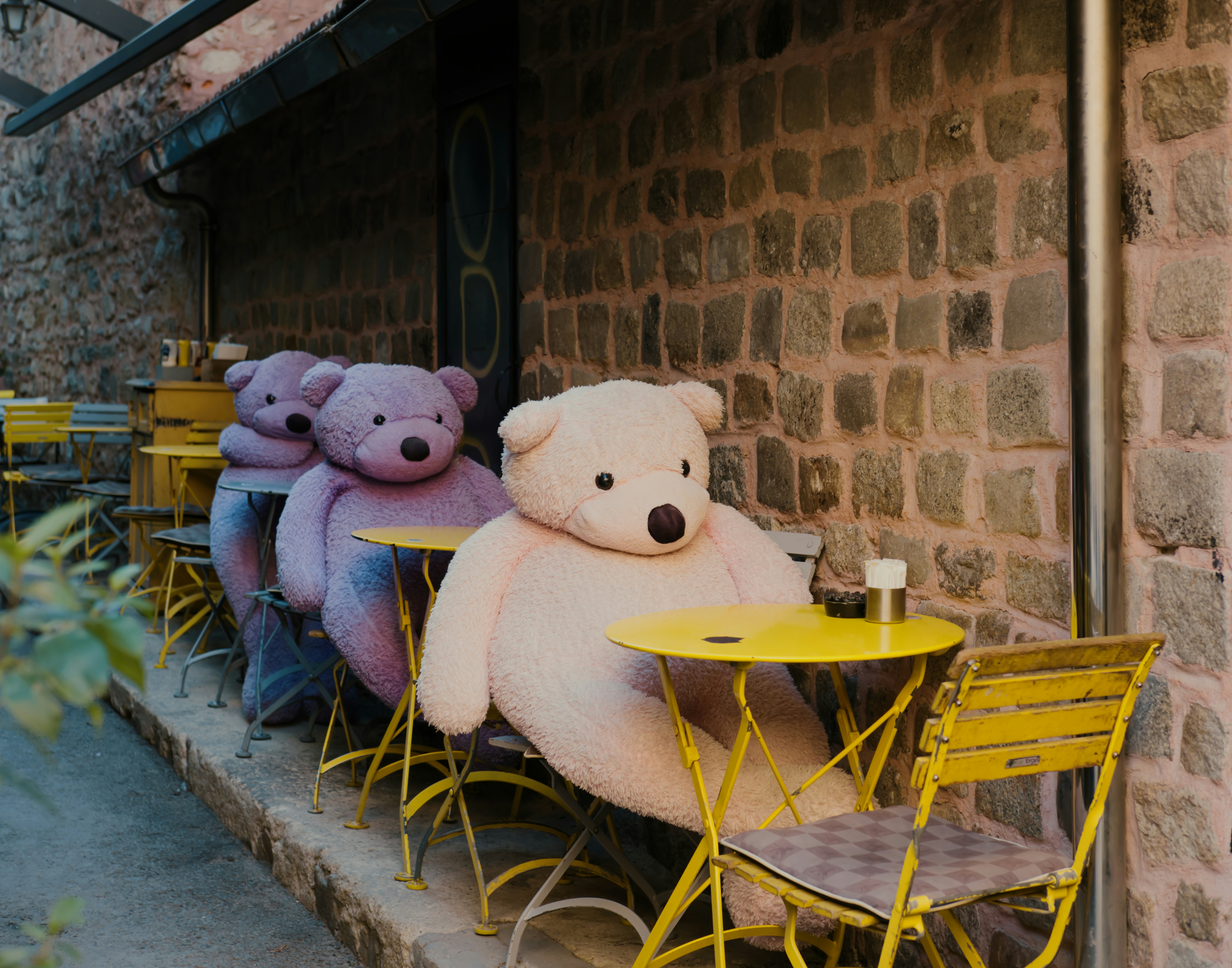 Sunlit Teddy Bears Guard the Yellow Café Row