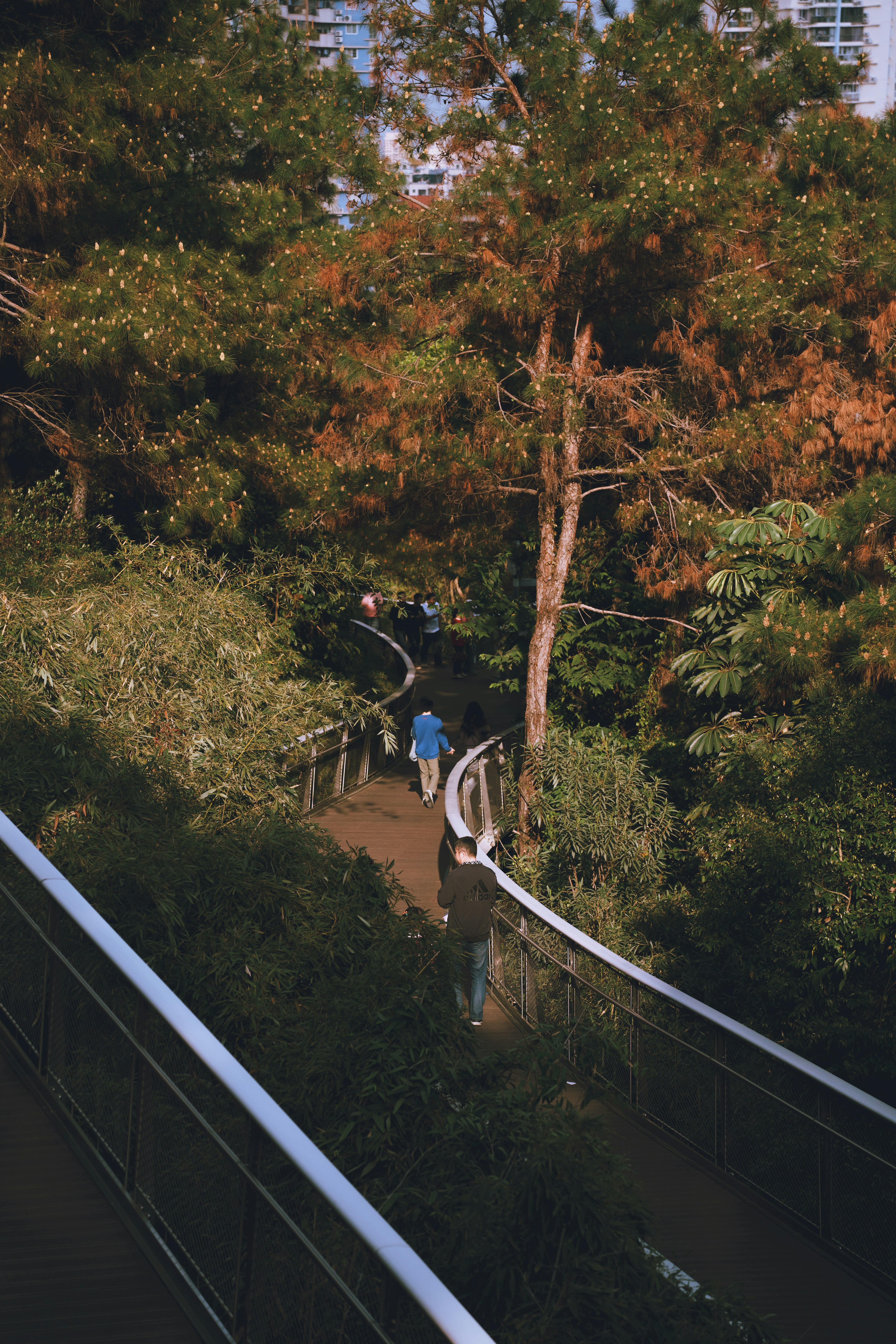 Blue-Shirted Figure on a Winding Green Corridor Framed by City Lights
