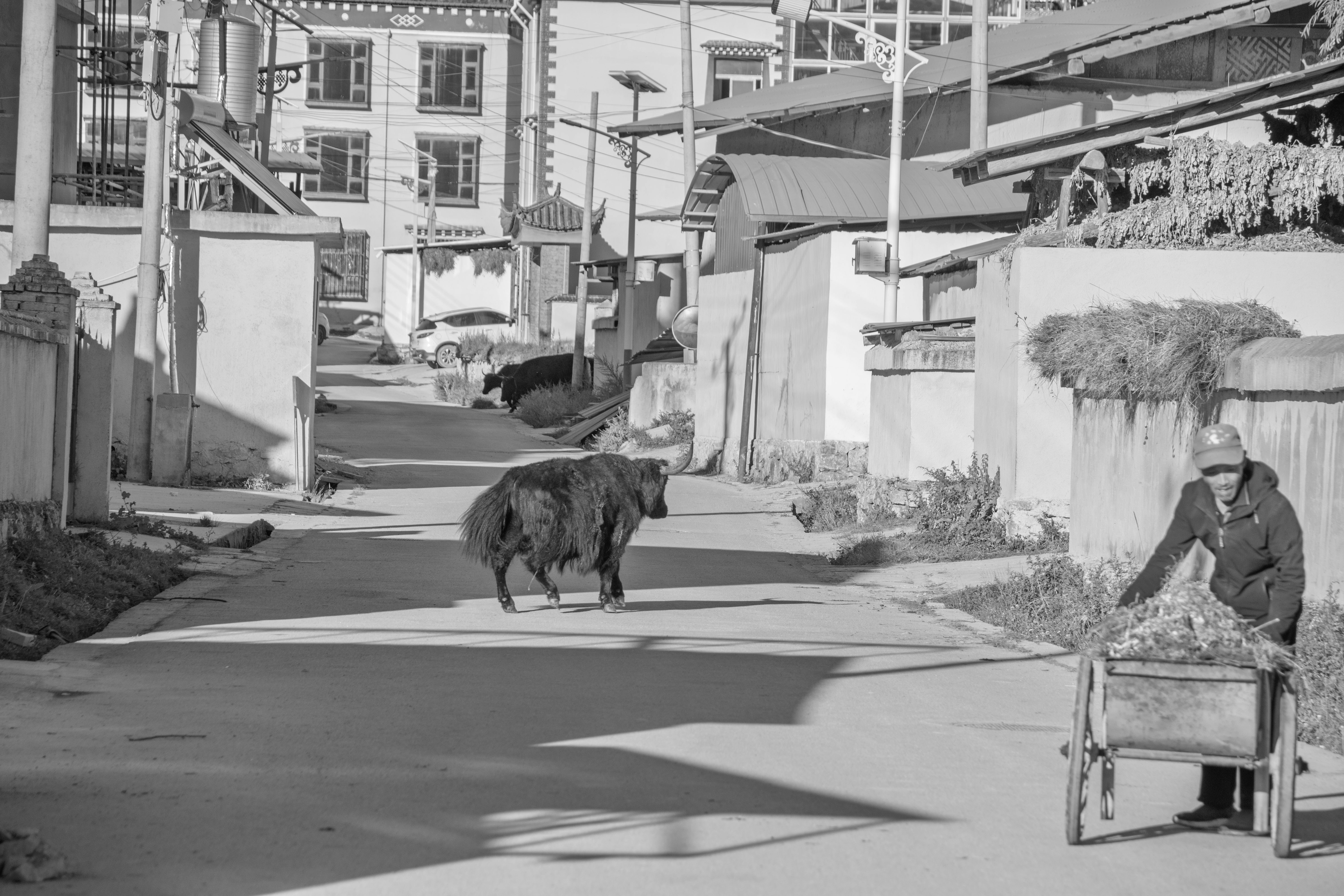 Harmony in Motion: Daily Life in a Mountain Village