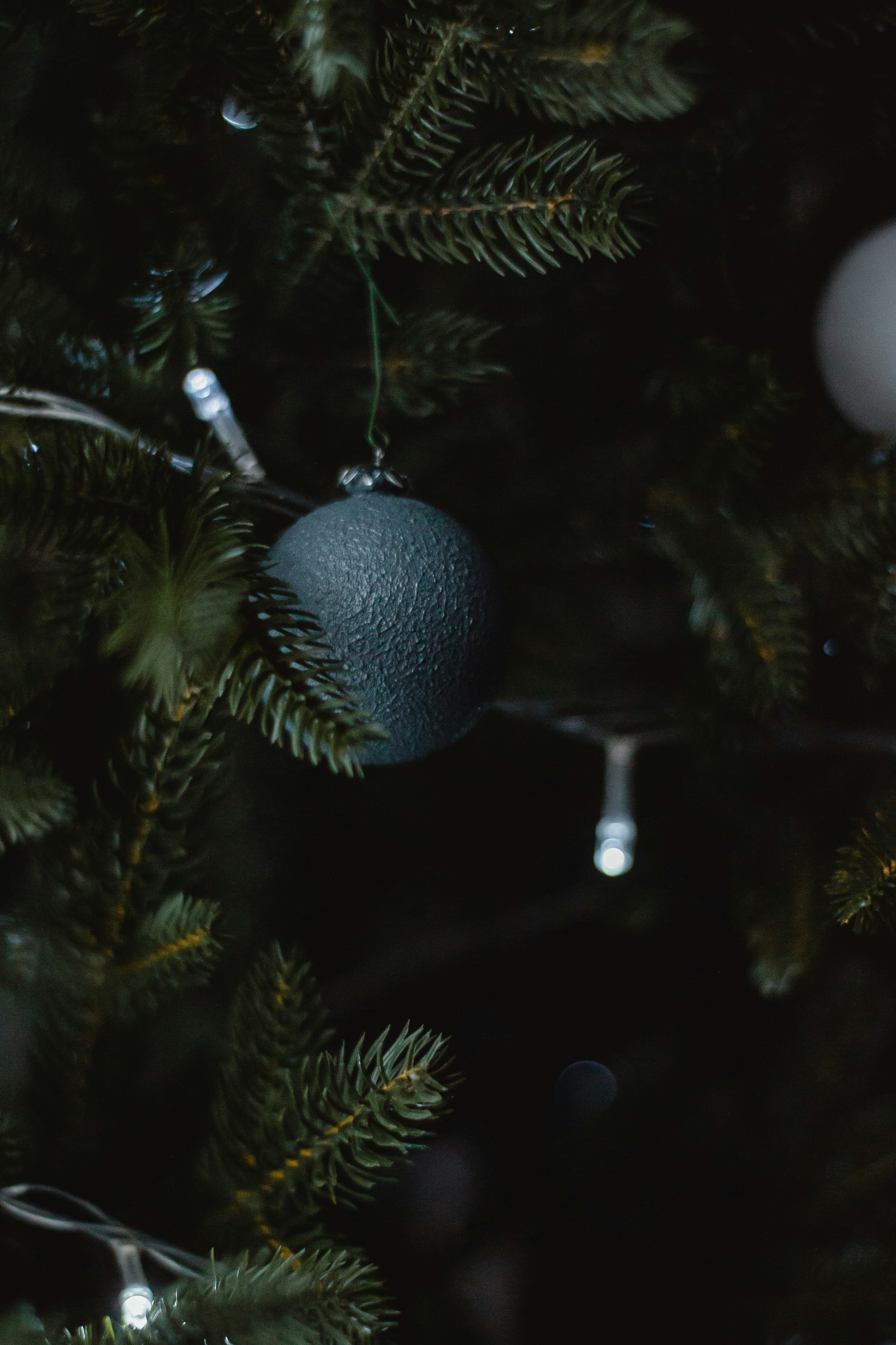 Midnight Blue Ornament Amid Silent Pine and Soft Glow