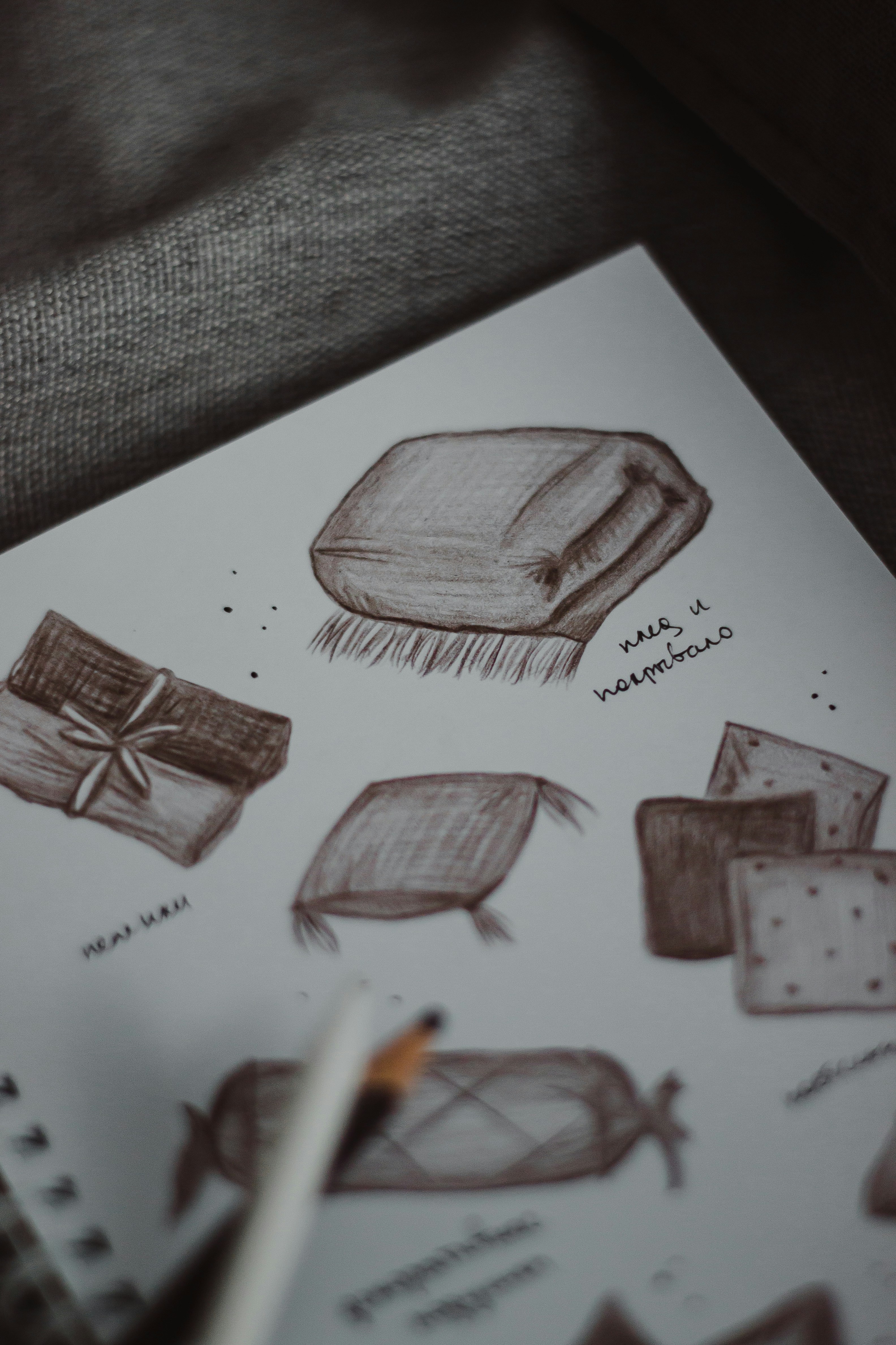 Sketchbook of Sweets: A Casual Study in Chocolate and Pastry Echoes