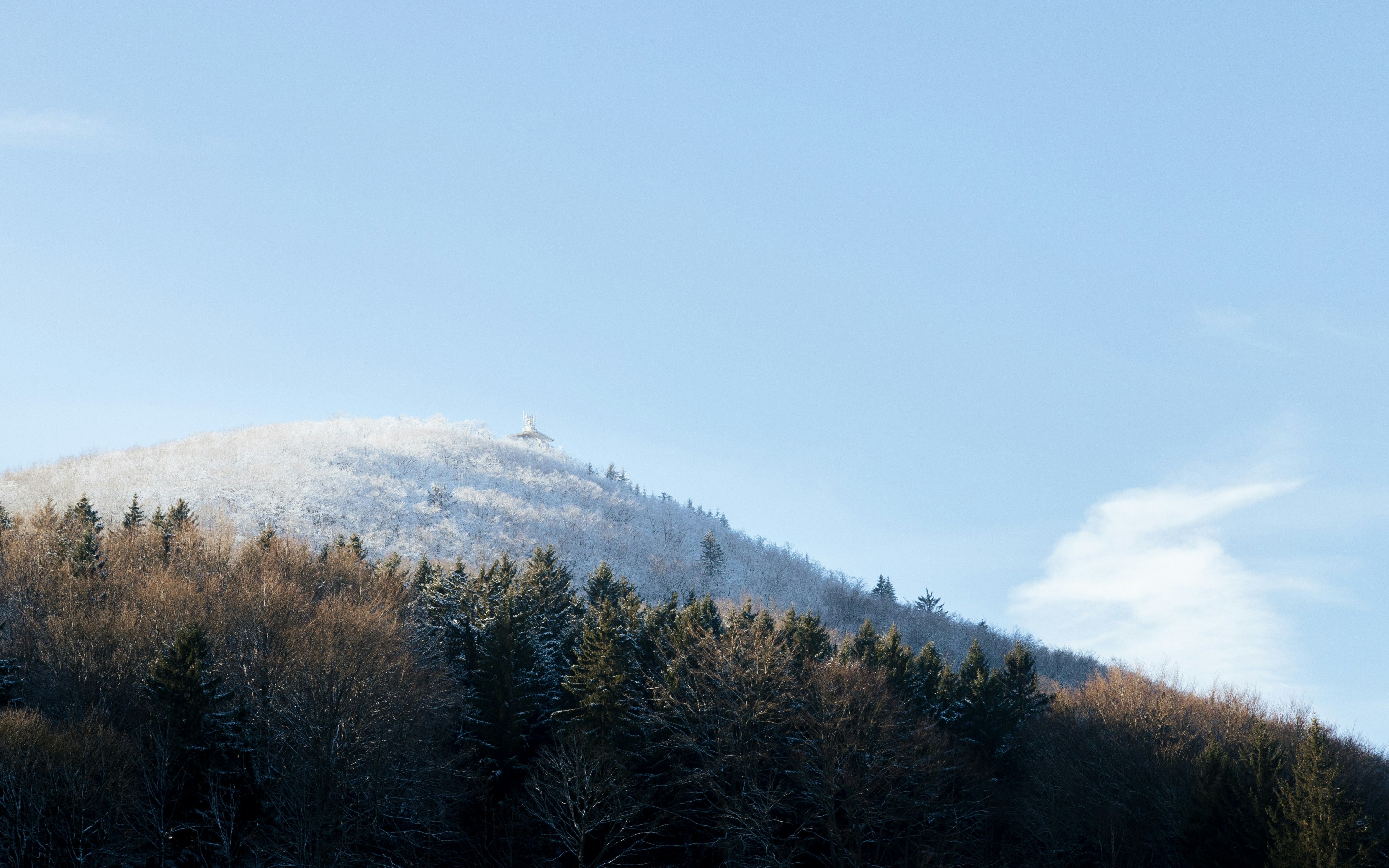 Snow-dusted mountain peak rises above a dense, shadowed forest under a clear blue sky.