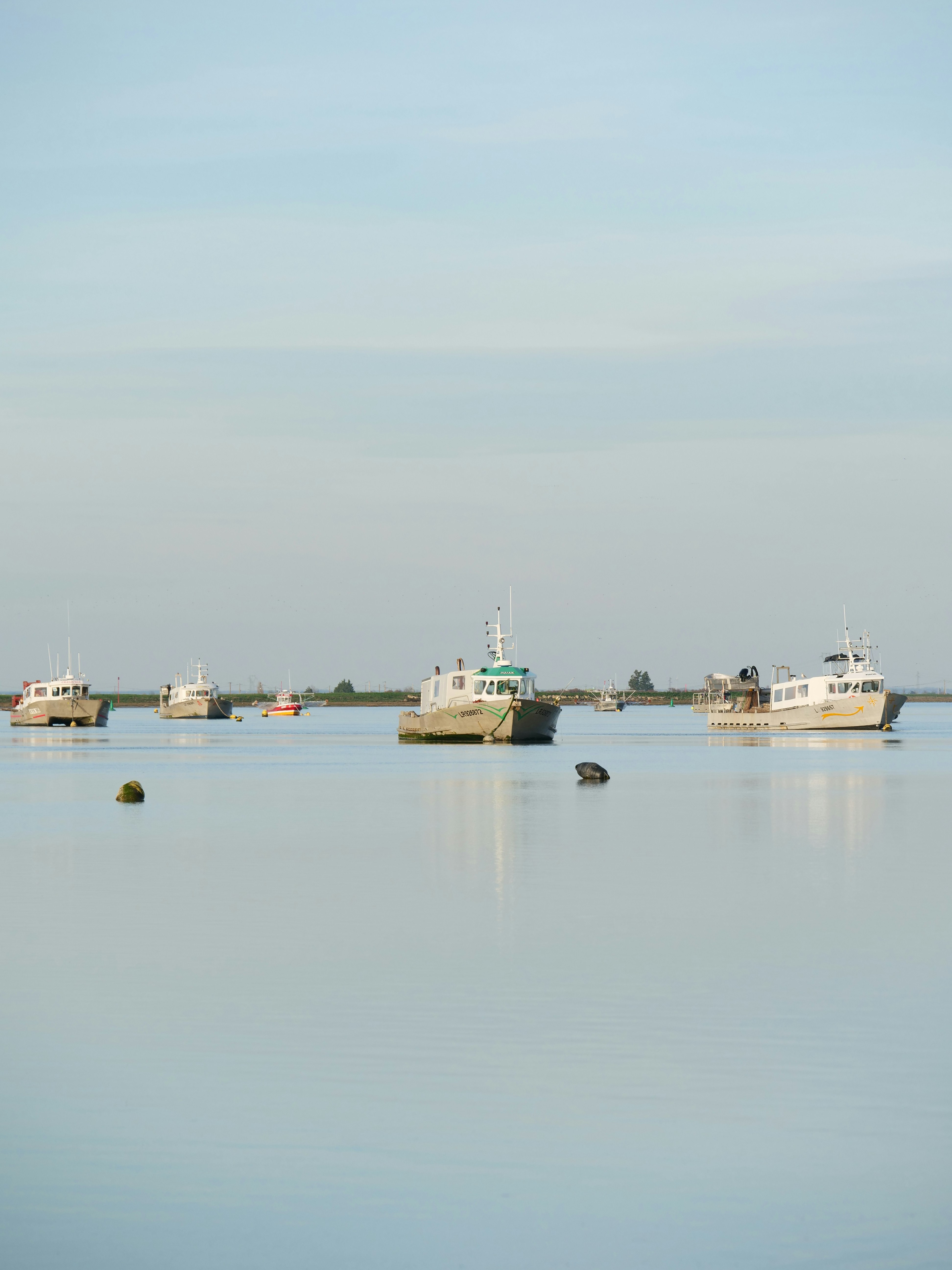 Glassy Harbor: Boats Rest in Quiet Light