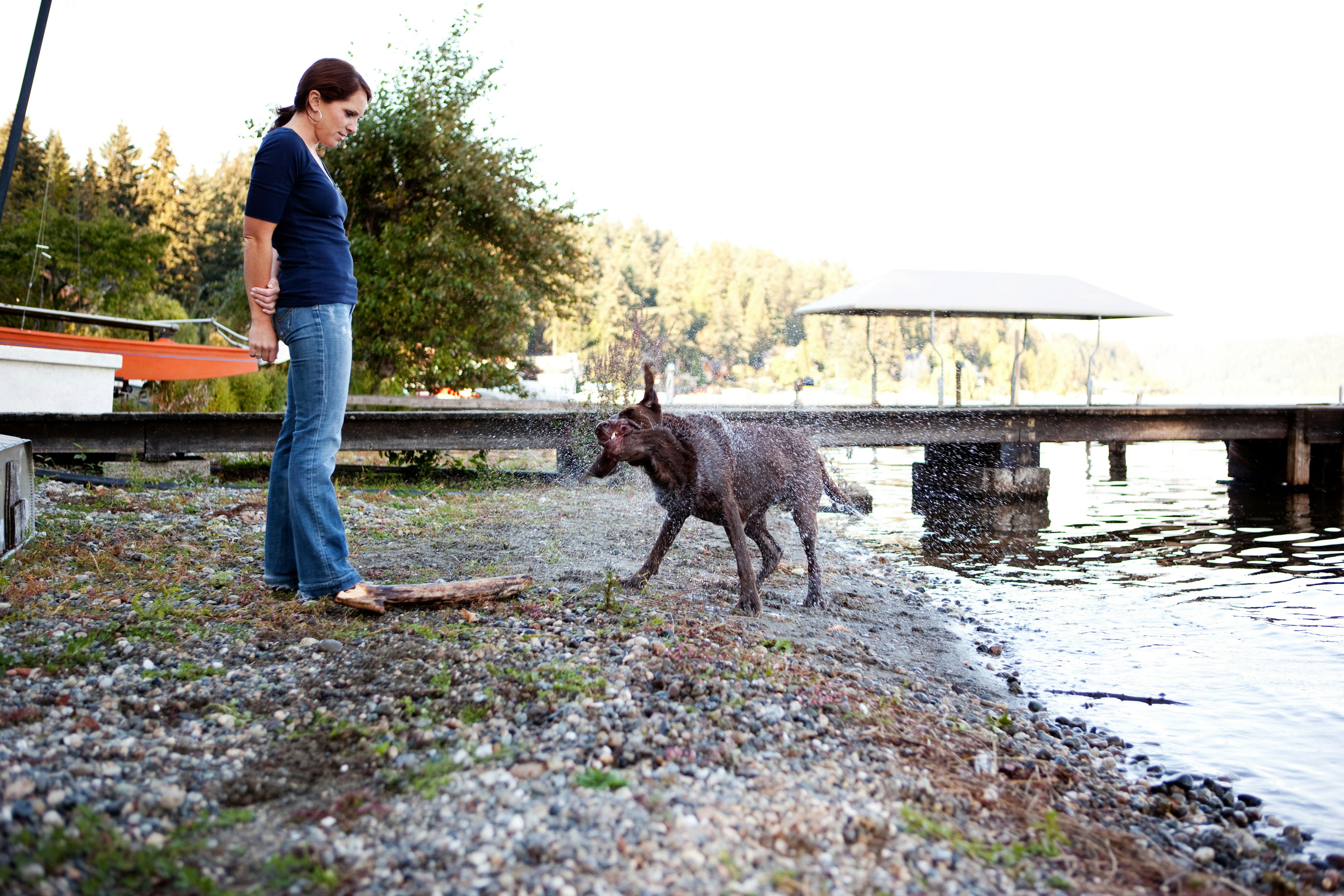 Beachfront Standoff: Woman and Wolf by the Shore