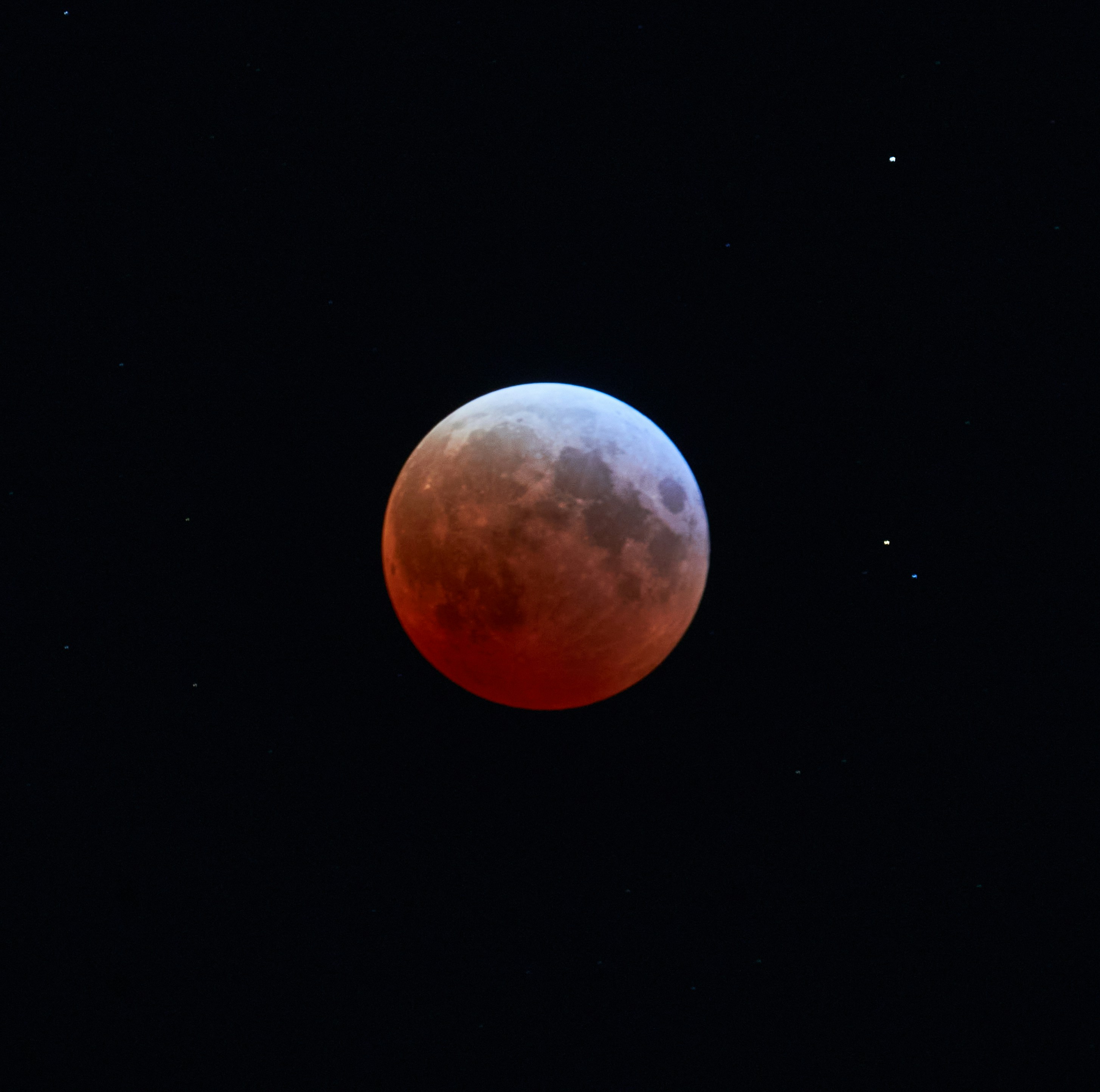 A beautiful blood moon during an eclipse. photo – Free Space Image on ...