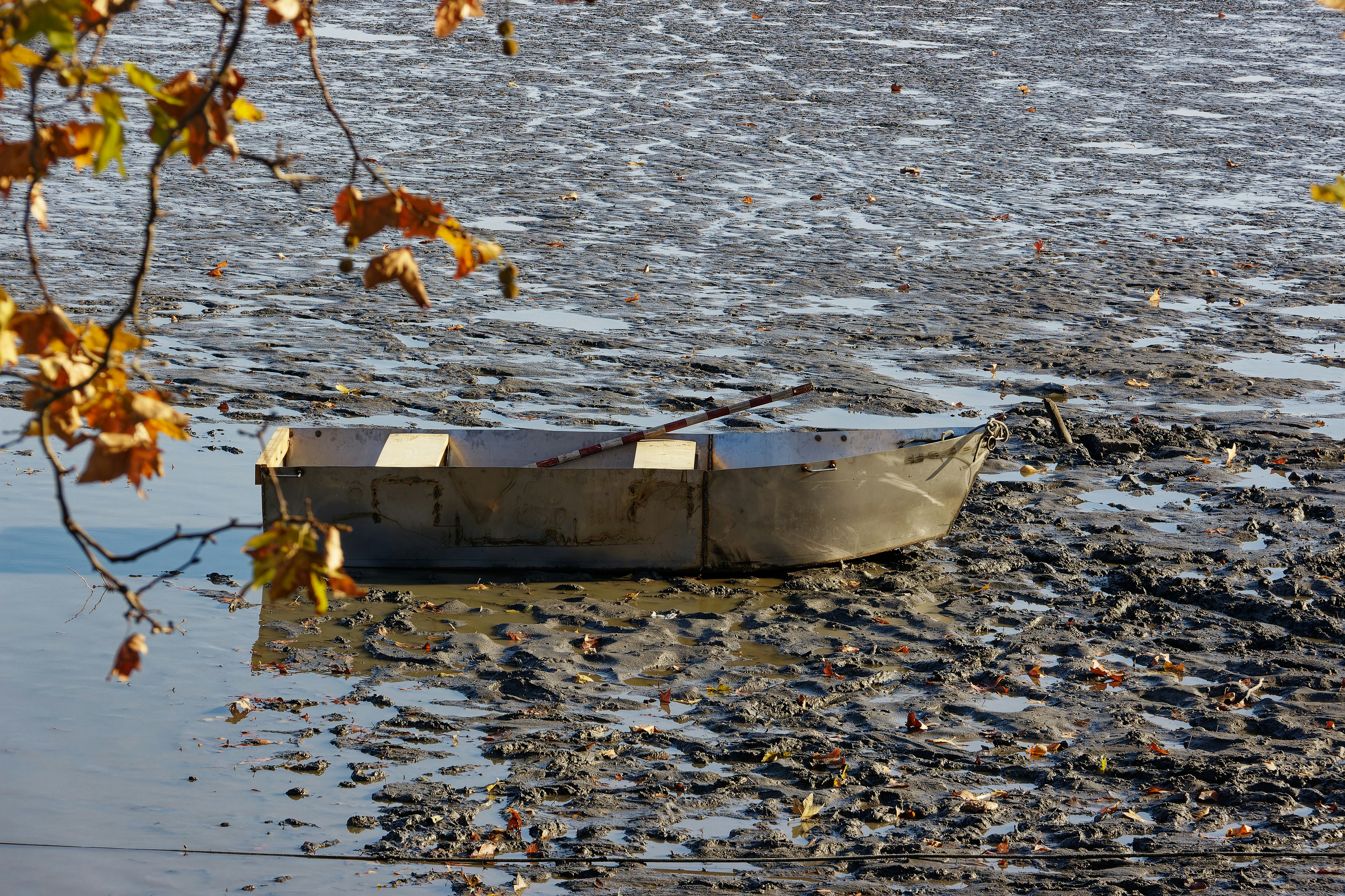 Abandoned Vessel in Autumn's Embrace