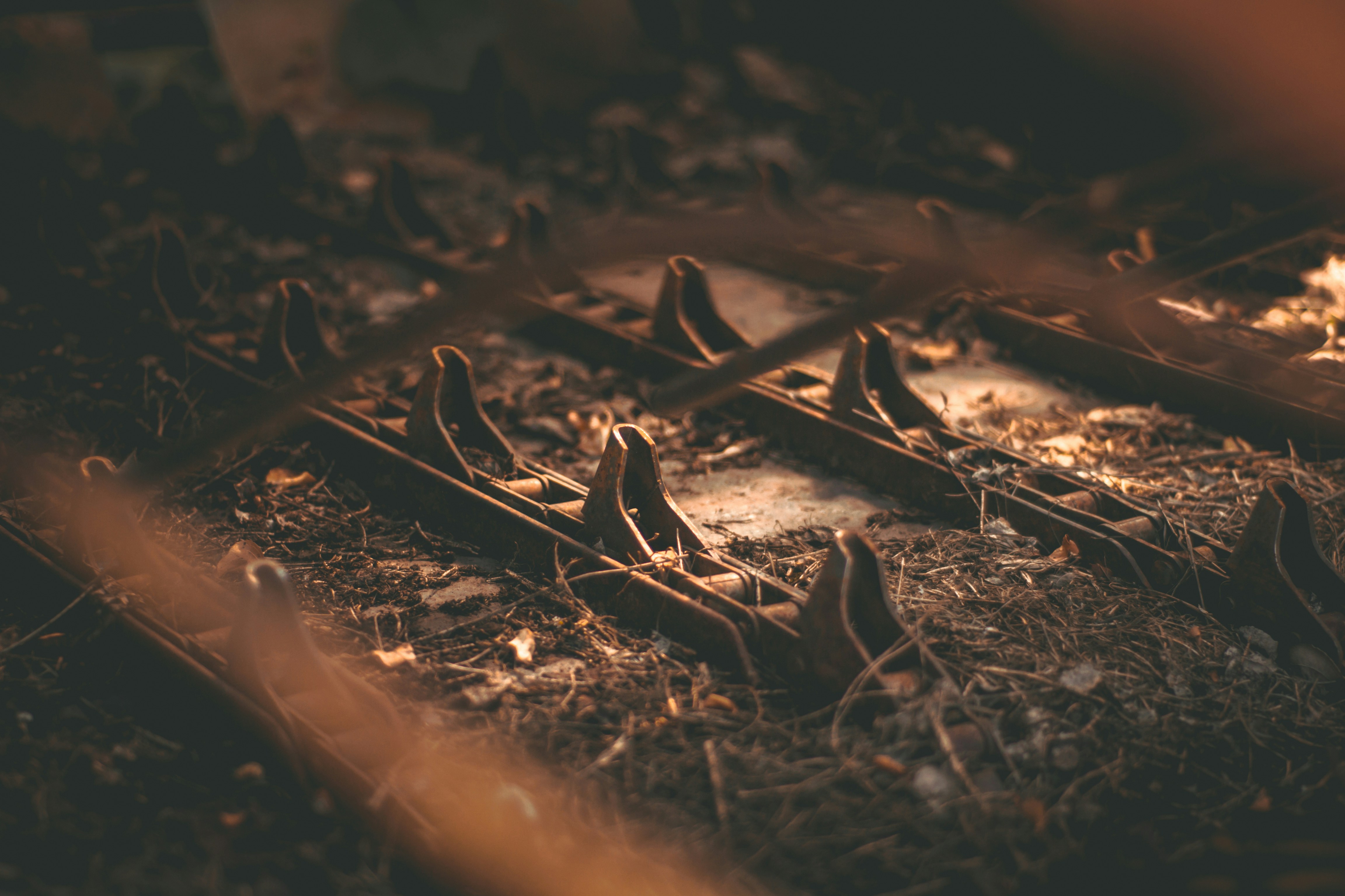 A close-up shows a bed of sharp objects. photo – Free Abstract Image on ...