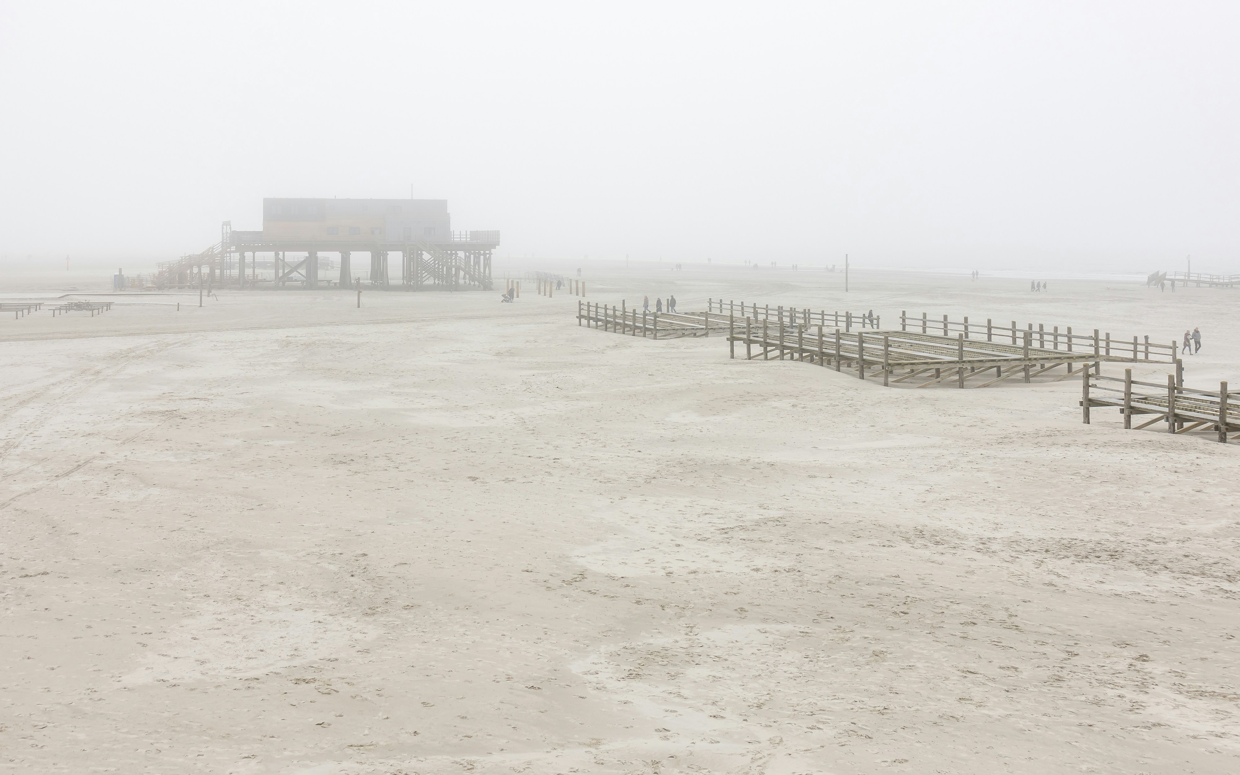 Mist on the Dunes: A Quiet Boardwalk Emerges from the White Harbor