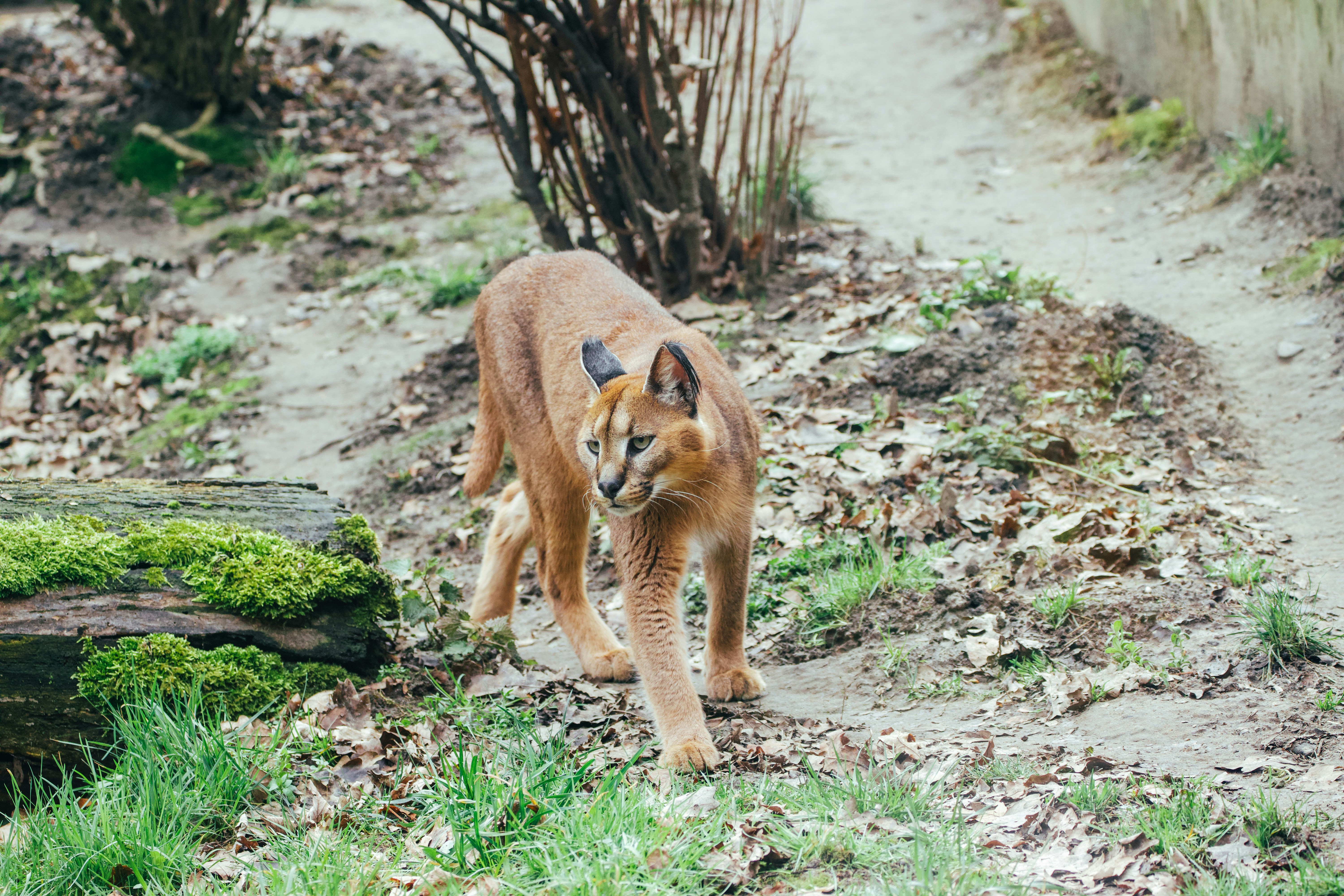 Photo by Jakub Neskora with Canon EOS 250D