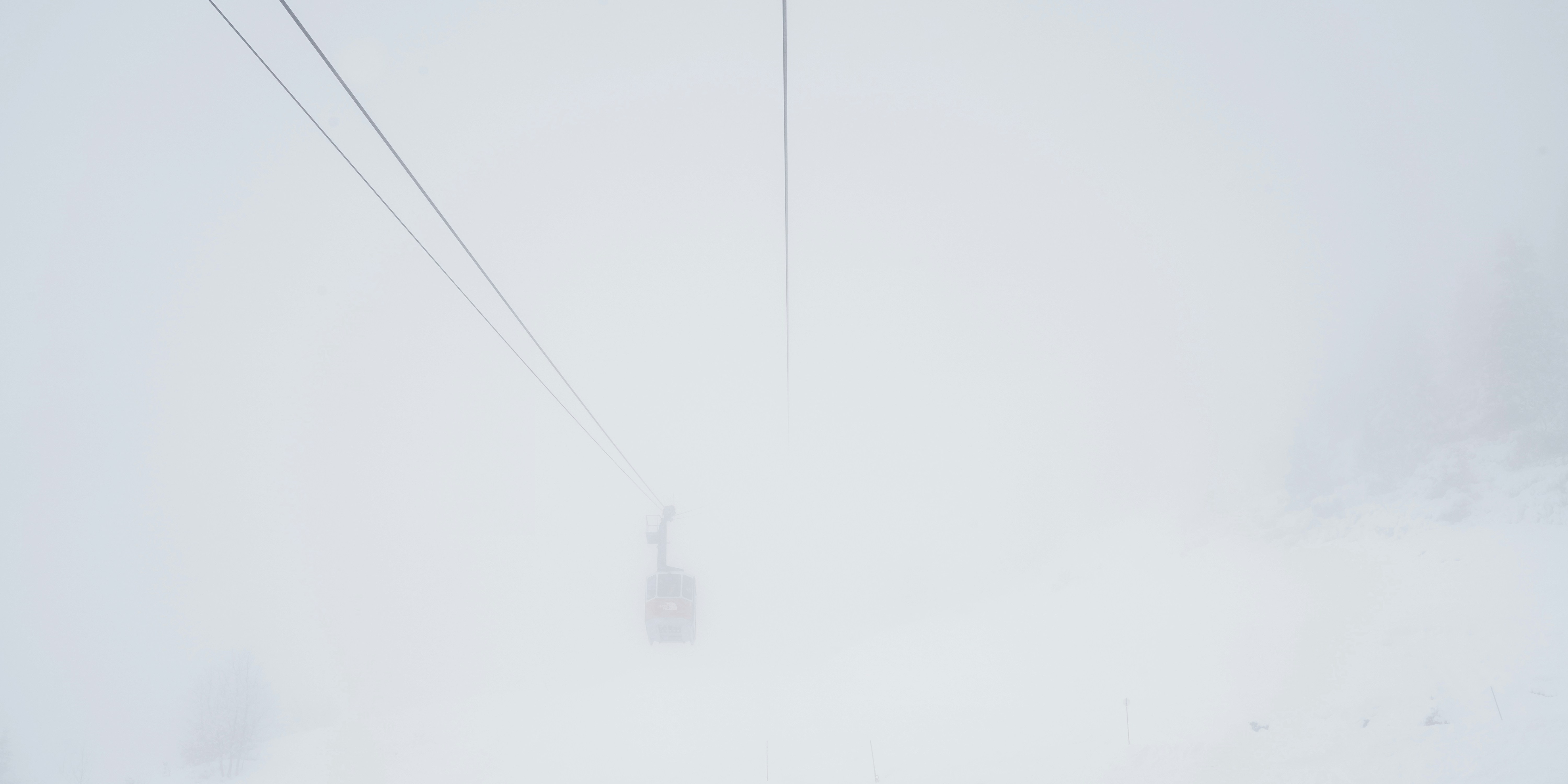 Vanishing into the Mist