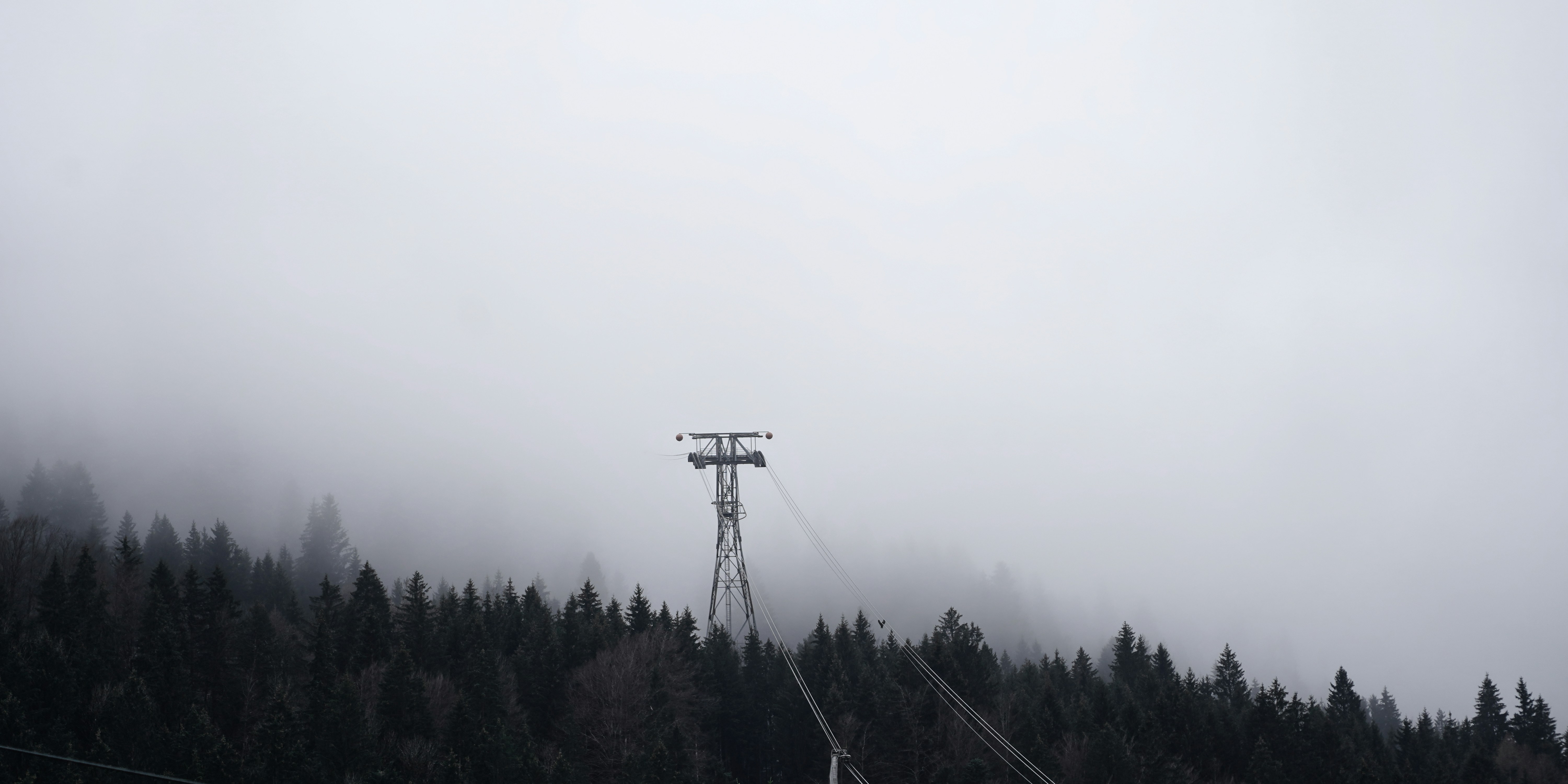 A cable car structure amidst dense forest and fog. photo – Free Forest ...