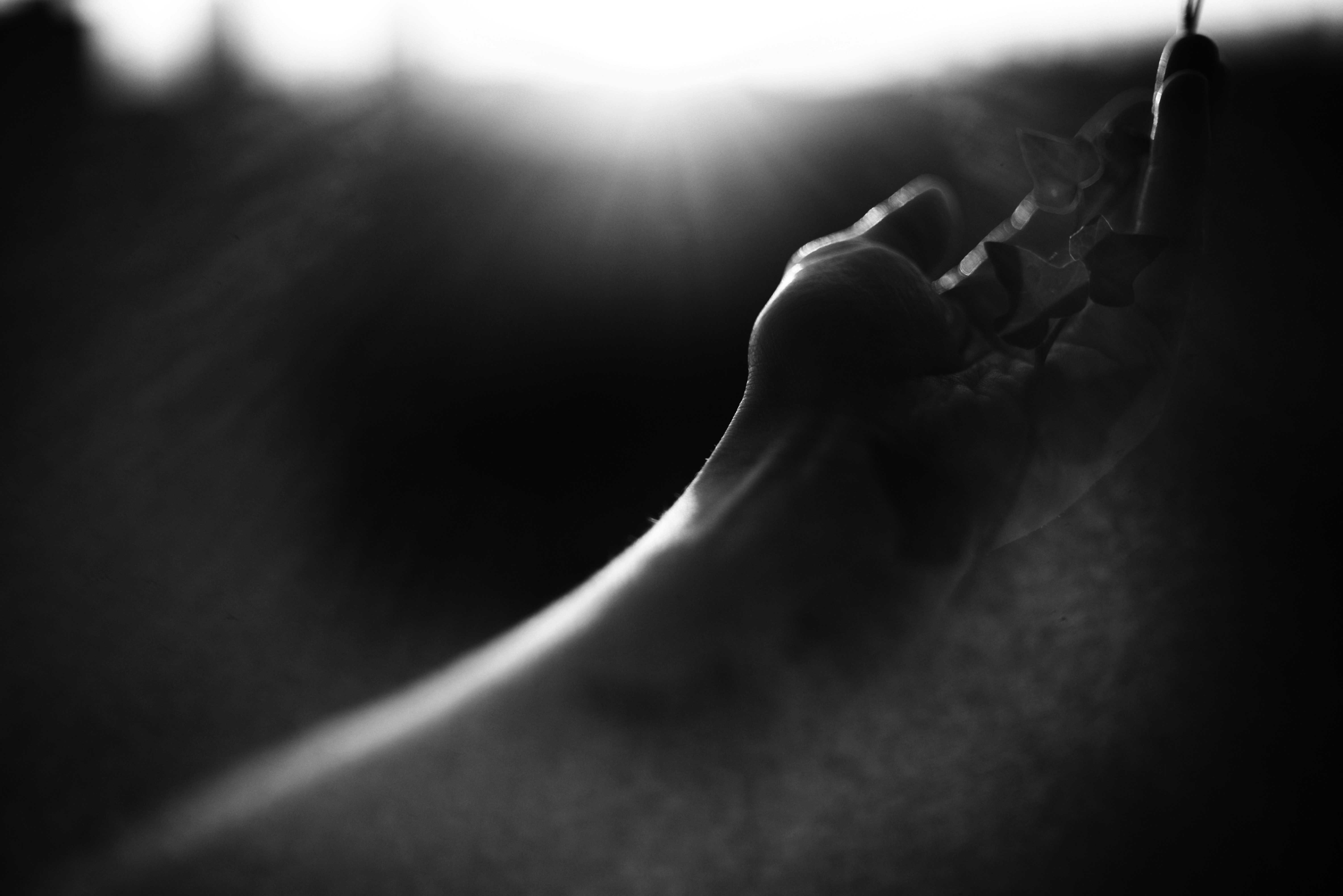 Hand reaching towards light, surrounded by butterflies in a monochromatic scene.