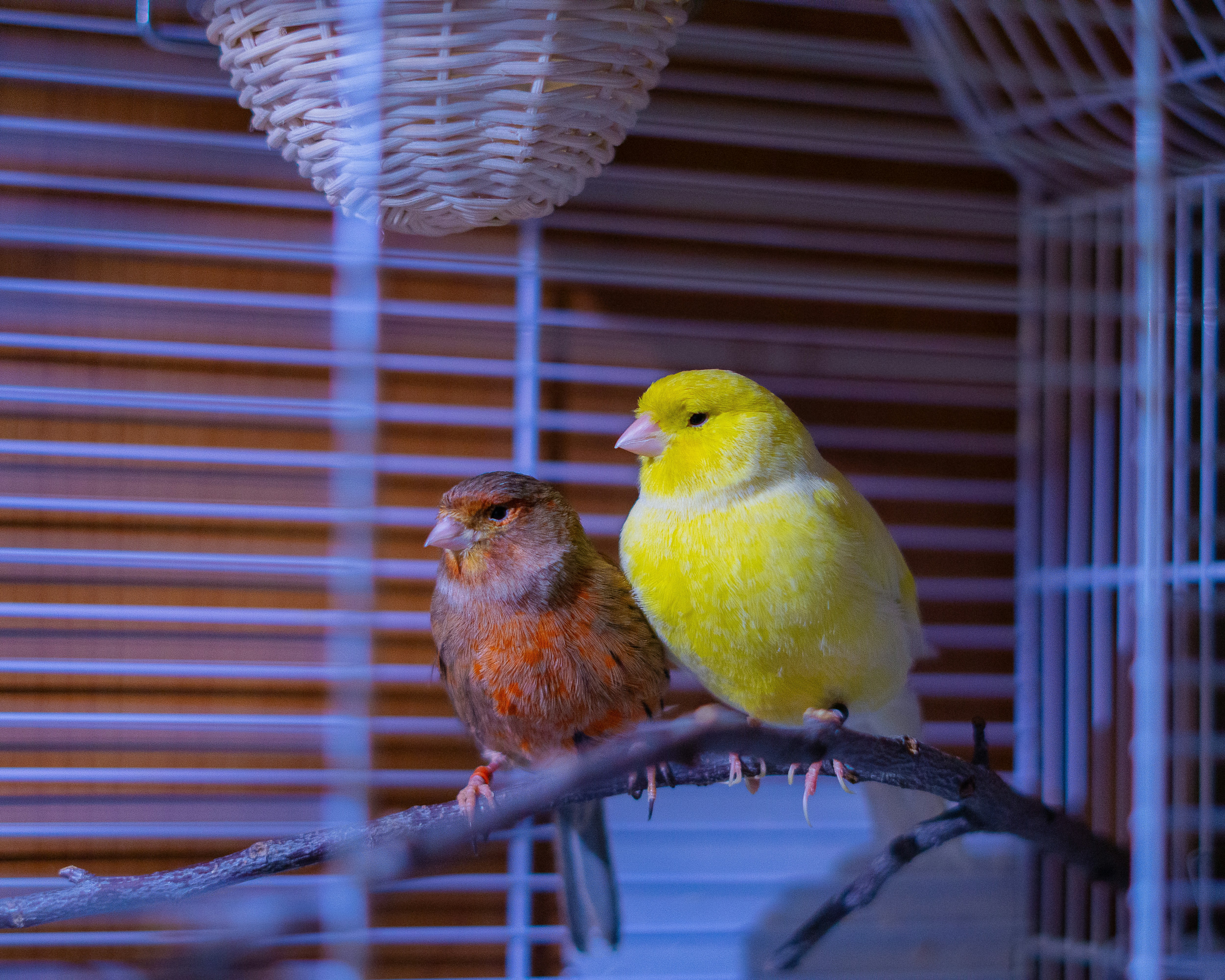 Photo by Hardial Aujla with Sony Alpha 6000