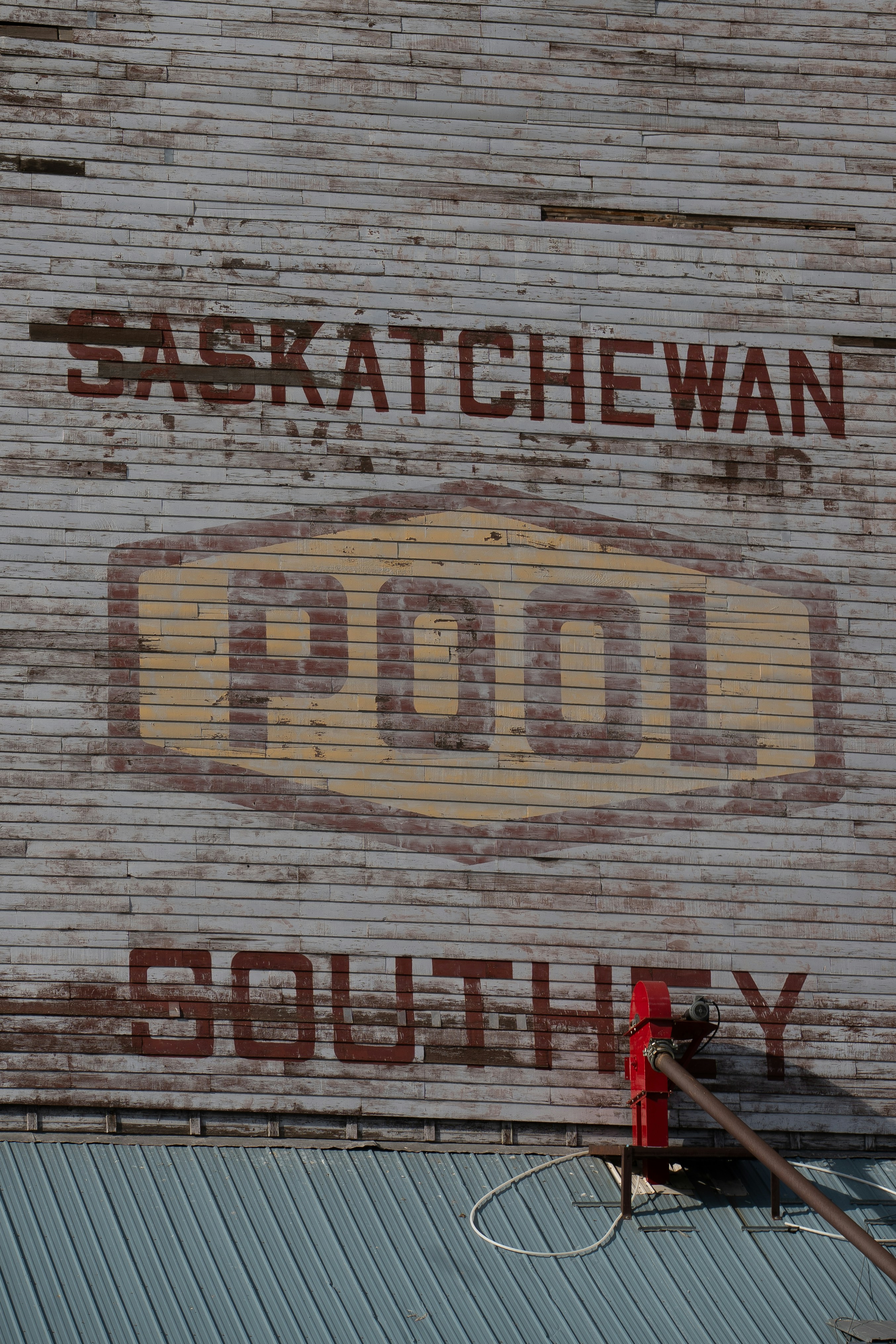 Photo by Matt Richmond with Sony Alpha 7 IV