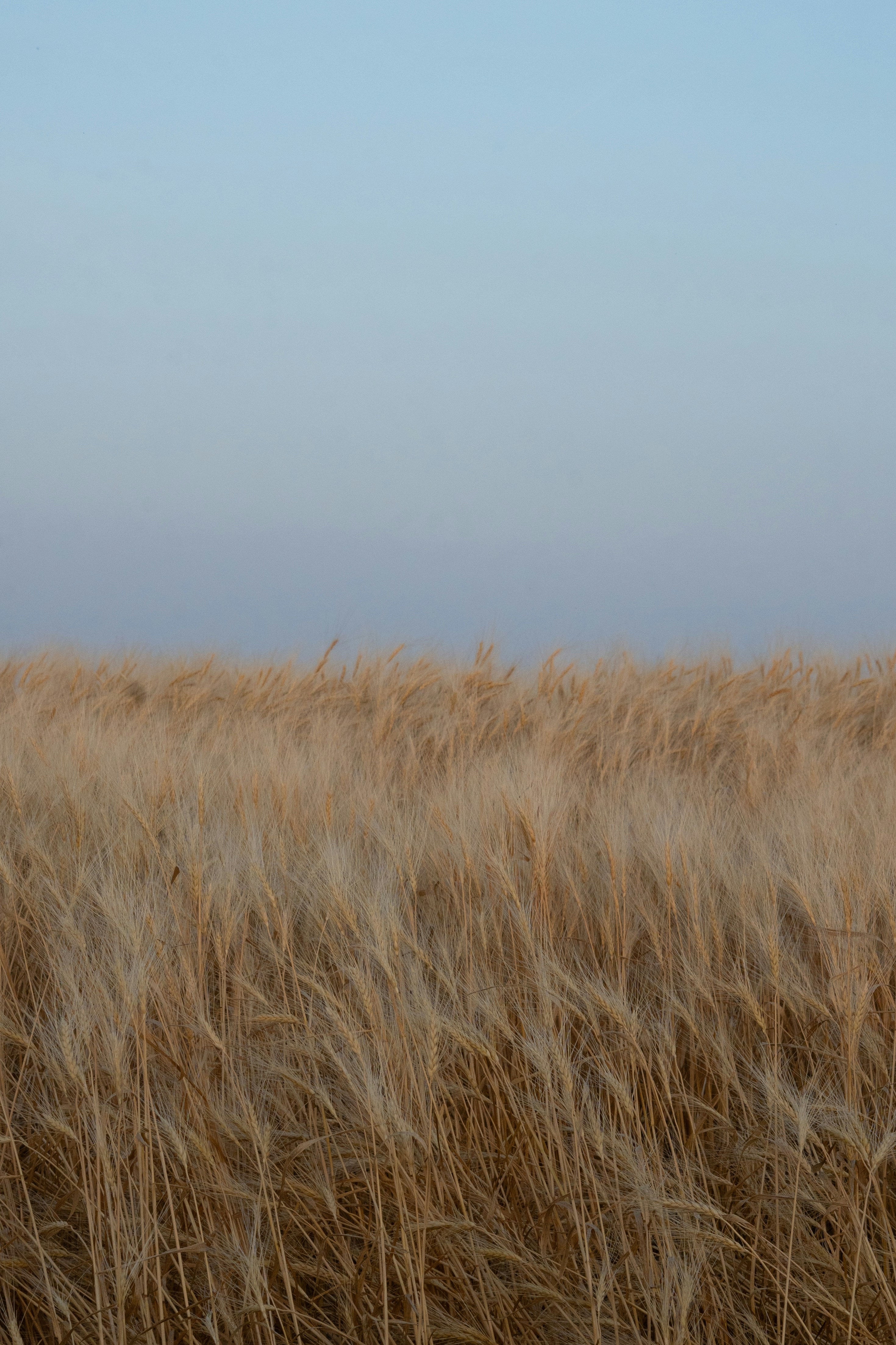 Photo by Matt Richmond with Sony Alpha 7 IV