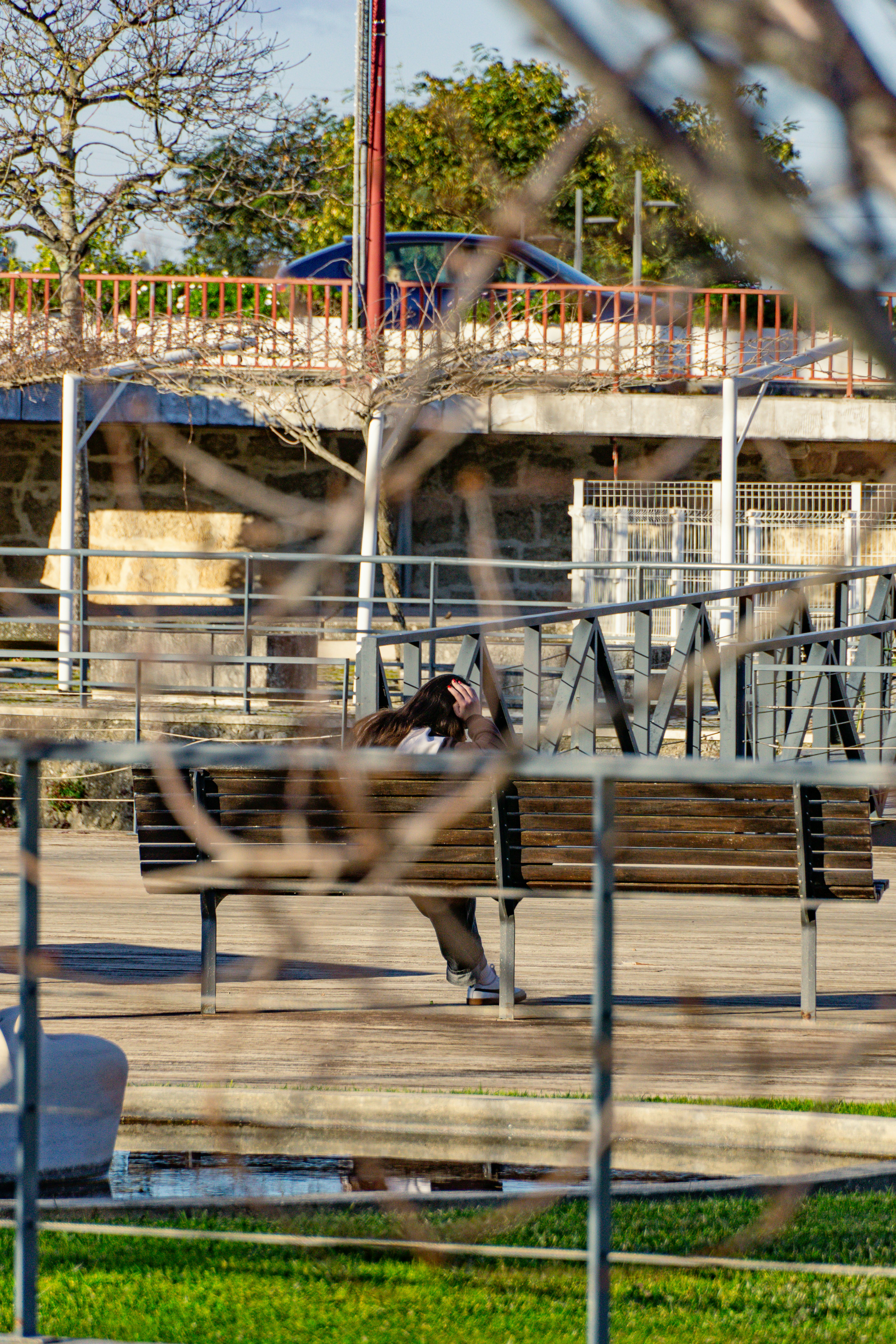 Quiet Urban Moment: Sunlit Park Bench Framed by Branches and Rails