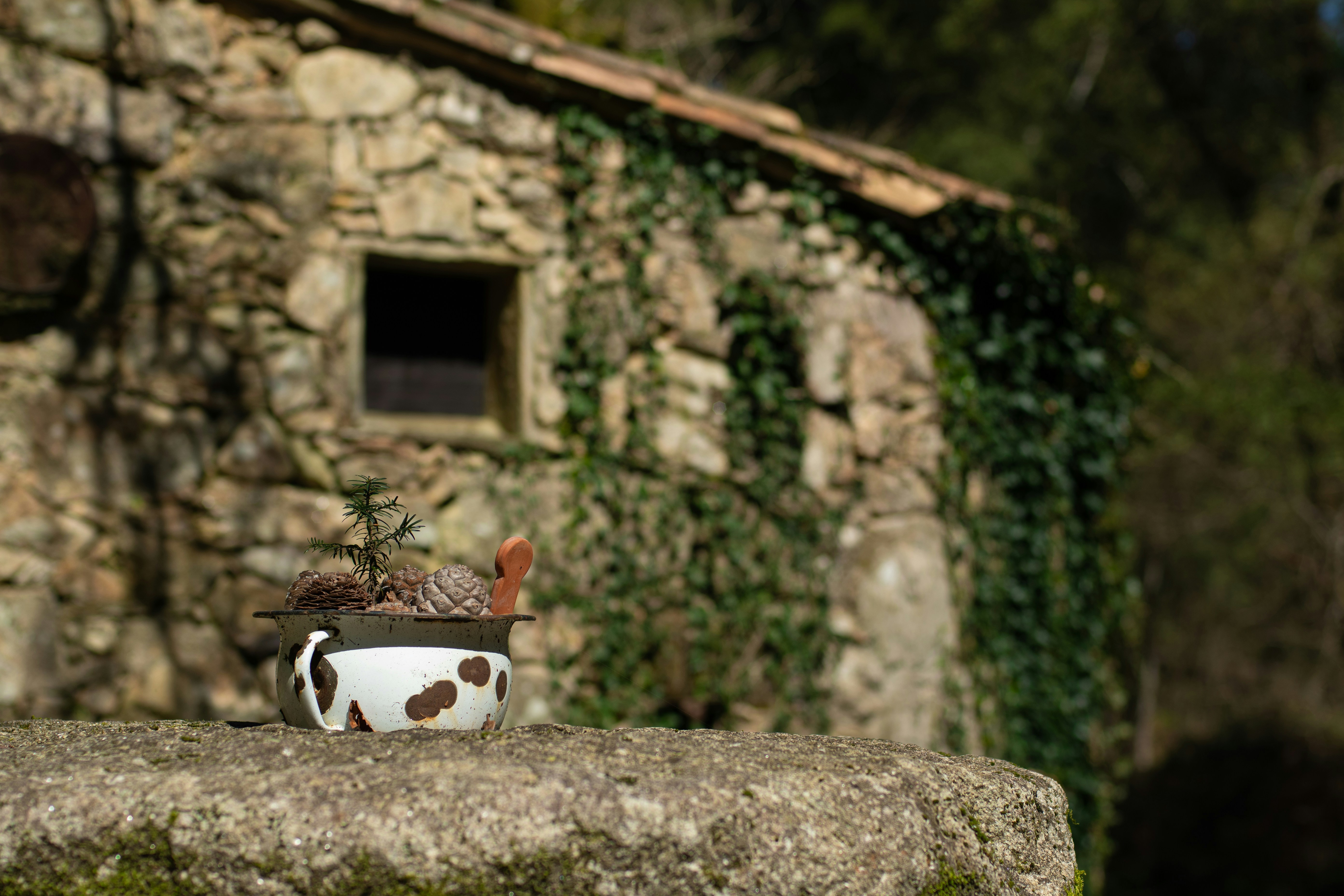 Cow-patterned bowl sits in front of a stone house.