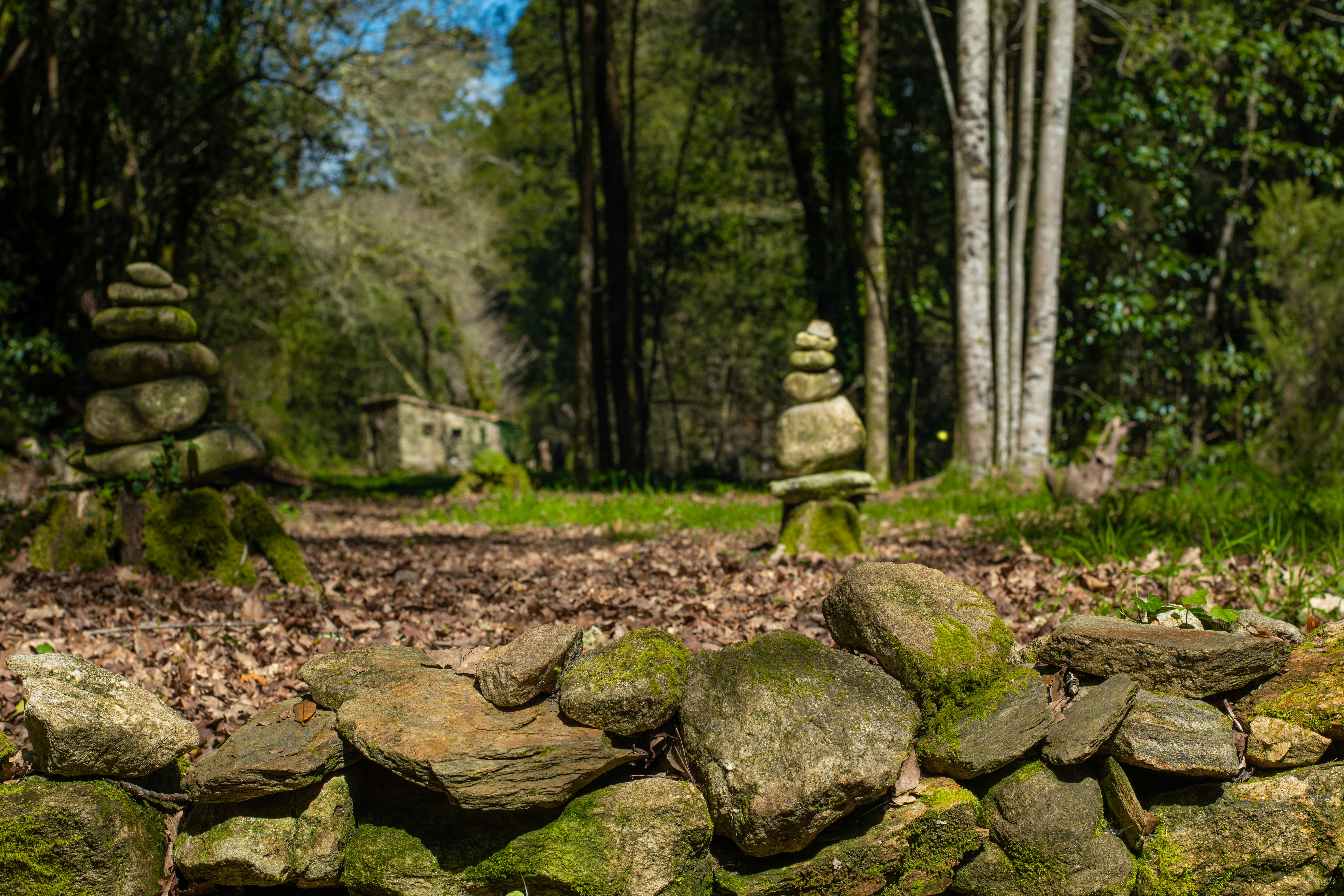 Stone cairns stand amid a sunlit forest with an ancient stone building in the background.