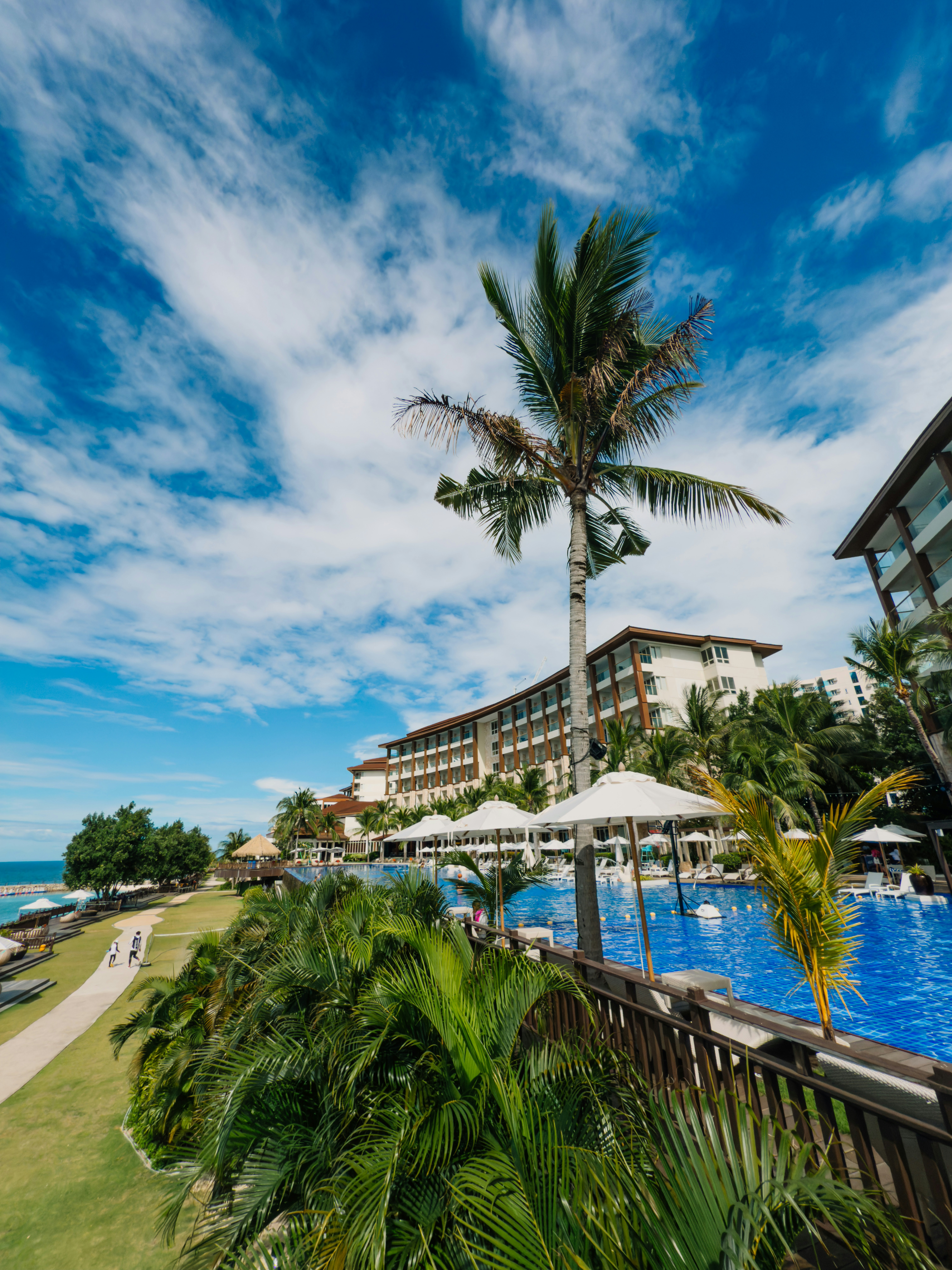 Luxury resort with a pool and palm trees. photo – Free Building Image ...