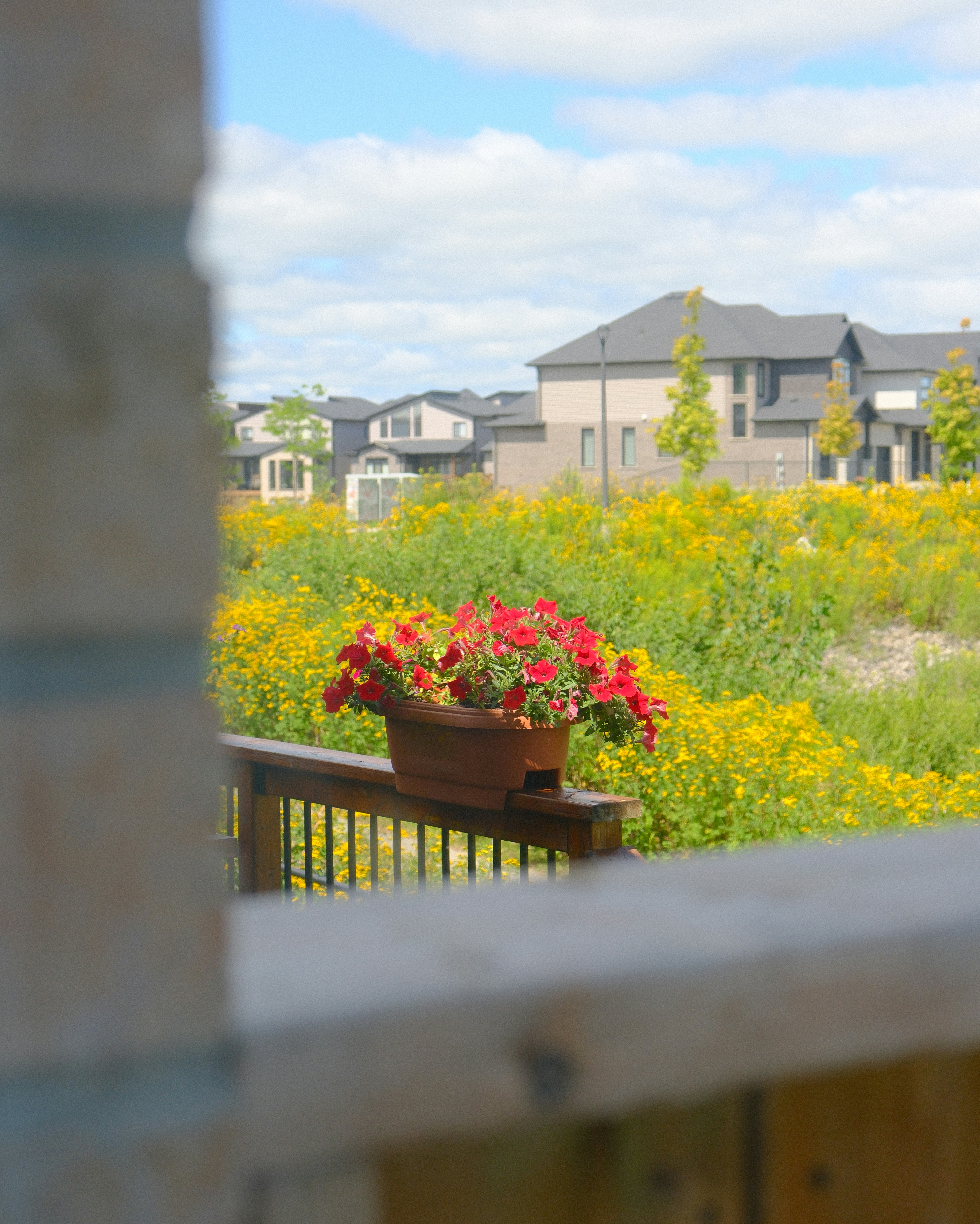 Photo by Jim Luo with Fujifilm X-T5