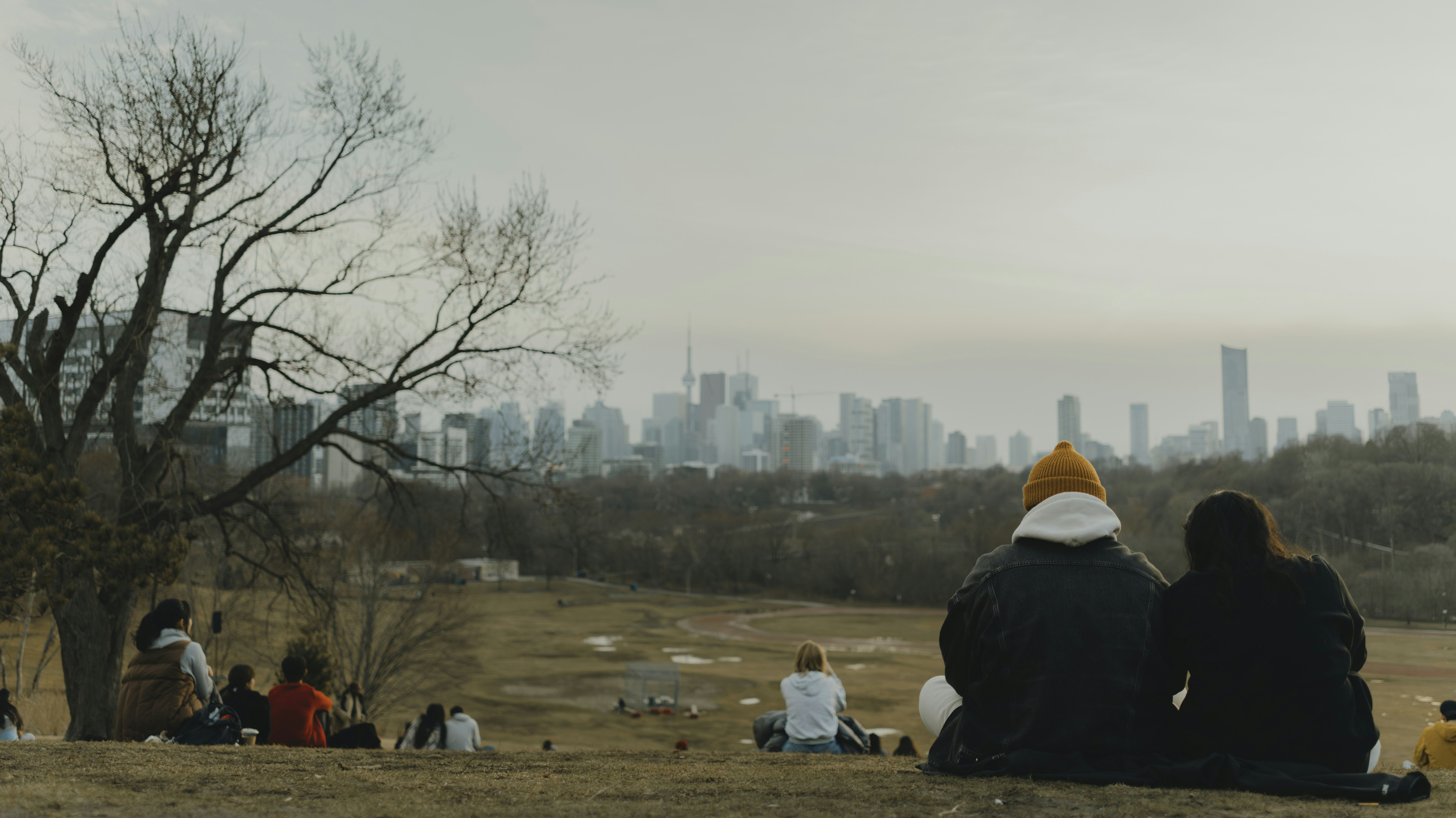 Urban Contemplation from the Hilltop