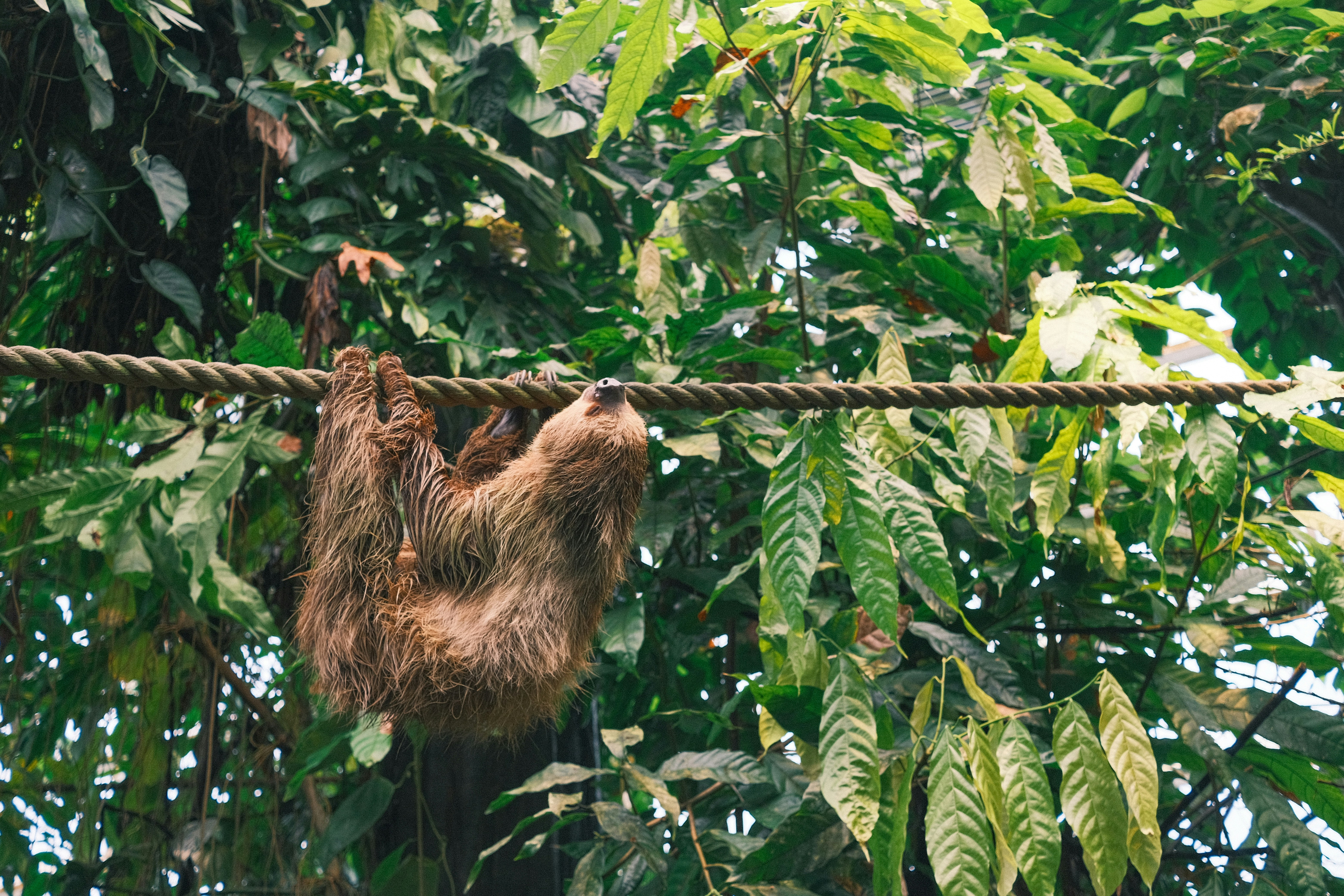 Photo by Robert Katzki with Fujifilm X-T30 II