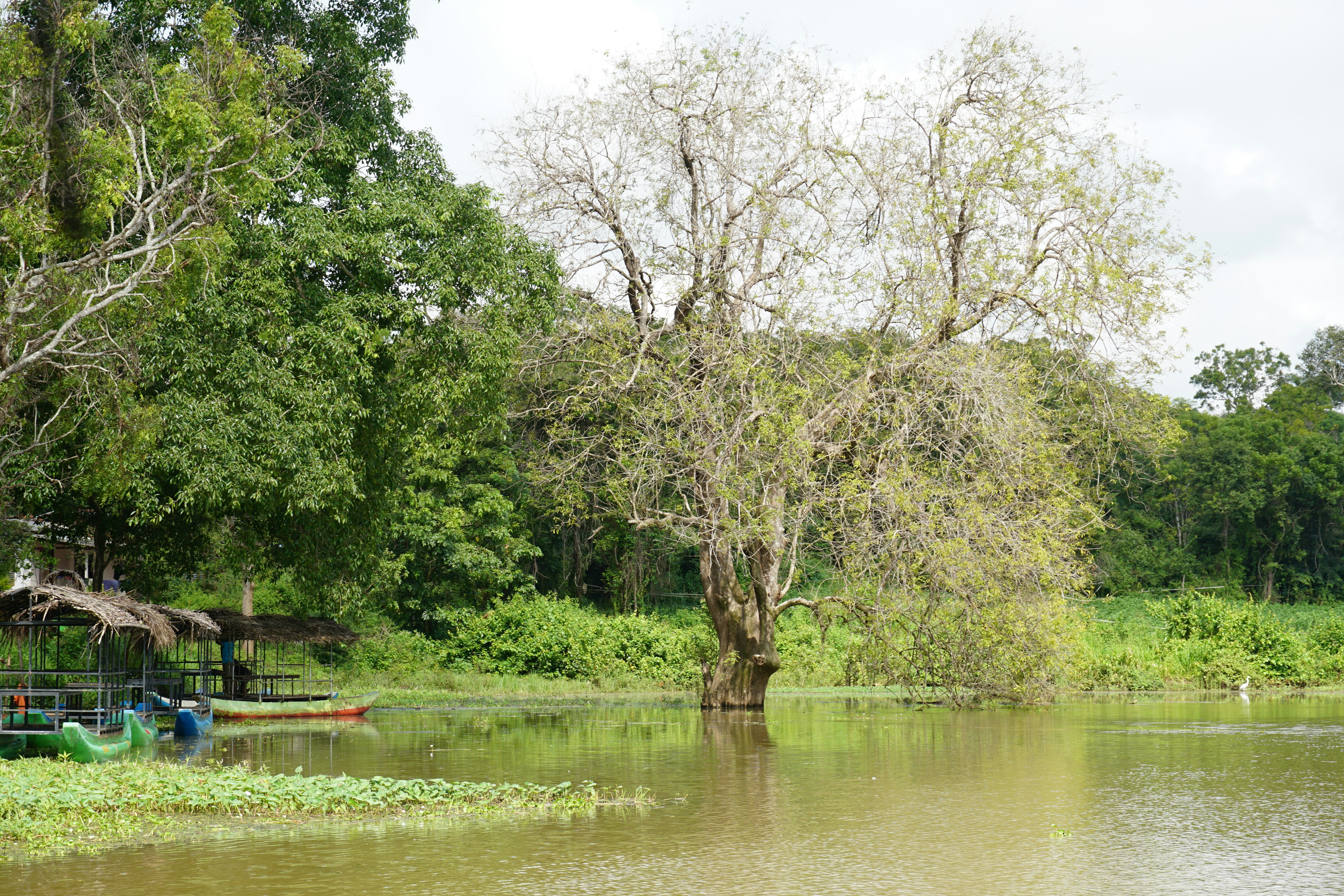 Photo by Sheila C with Sony Alpha 6300