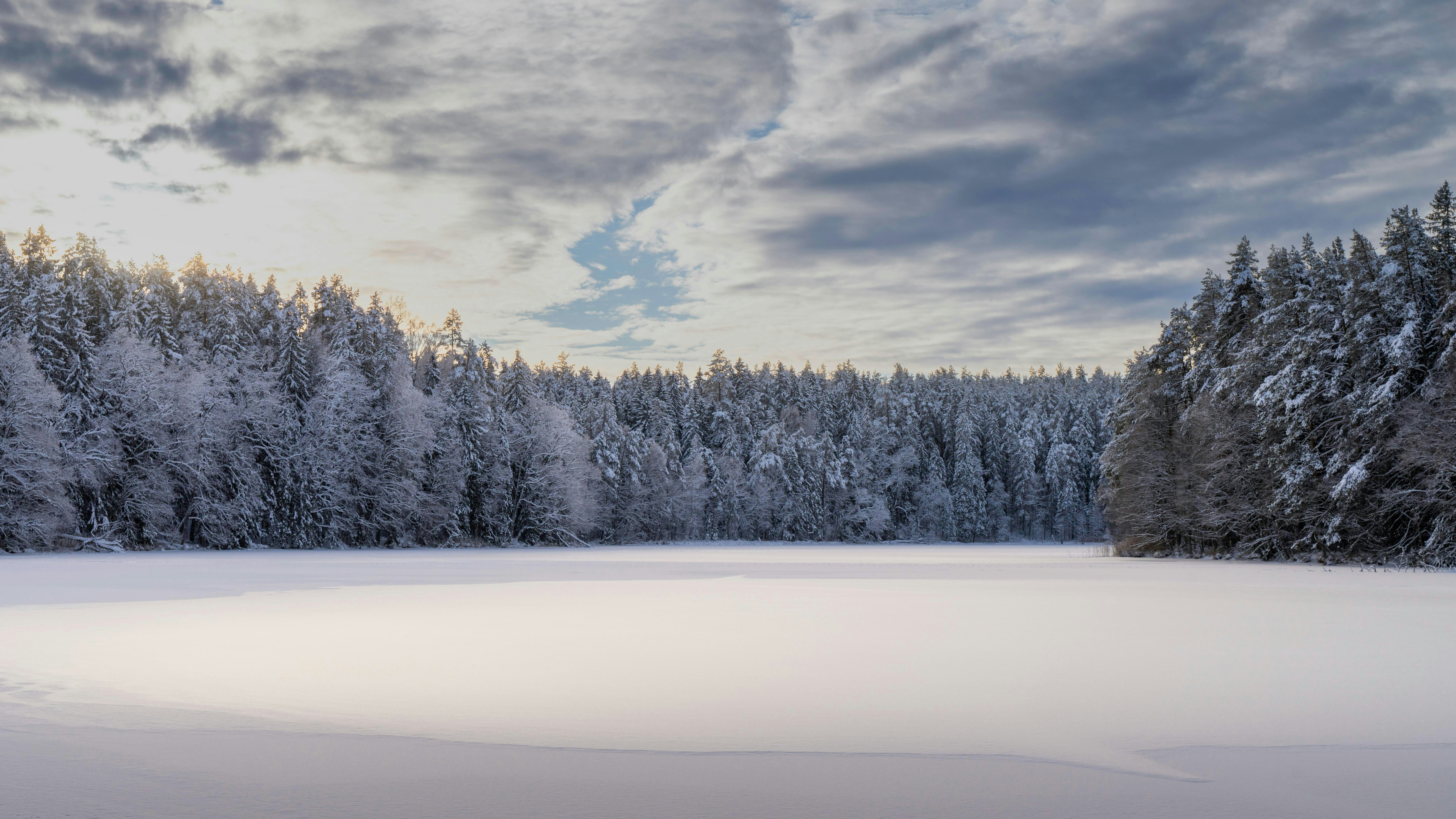 Snow-covered forest borders a frozen, snowy lake. photo – Free Forest ...