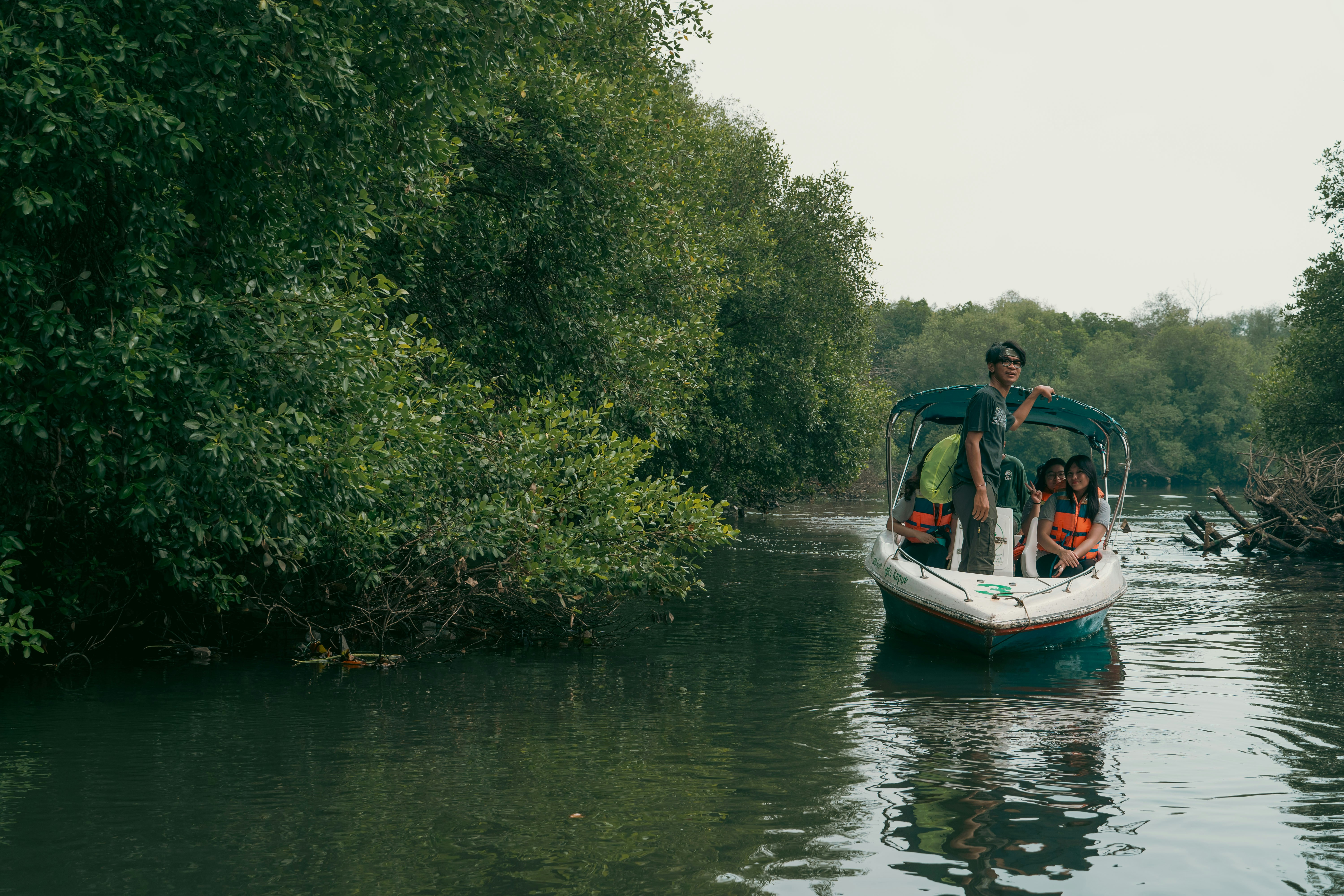 People are enjoying a boat ride through the mangroves. photo – Free Human Image on Unsplash