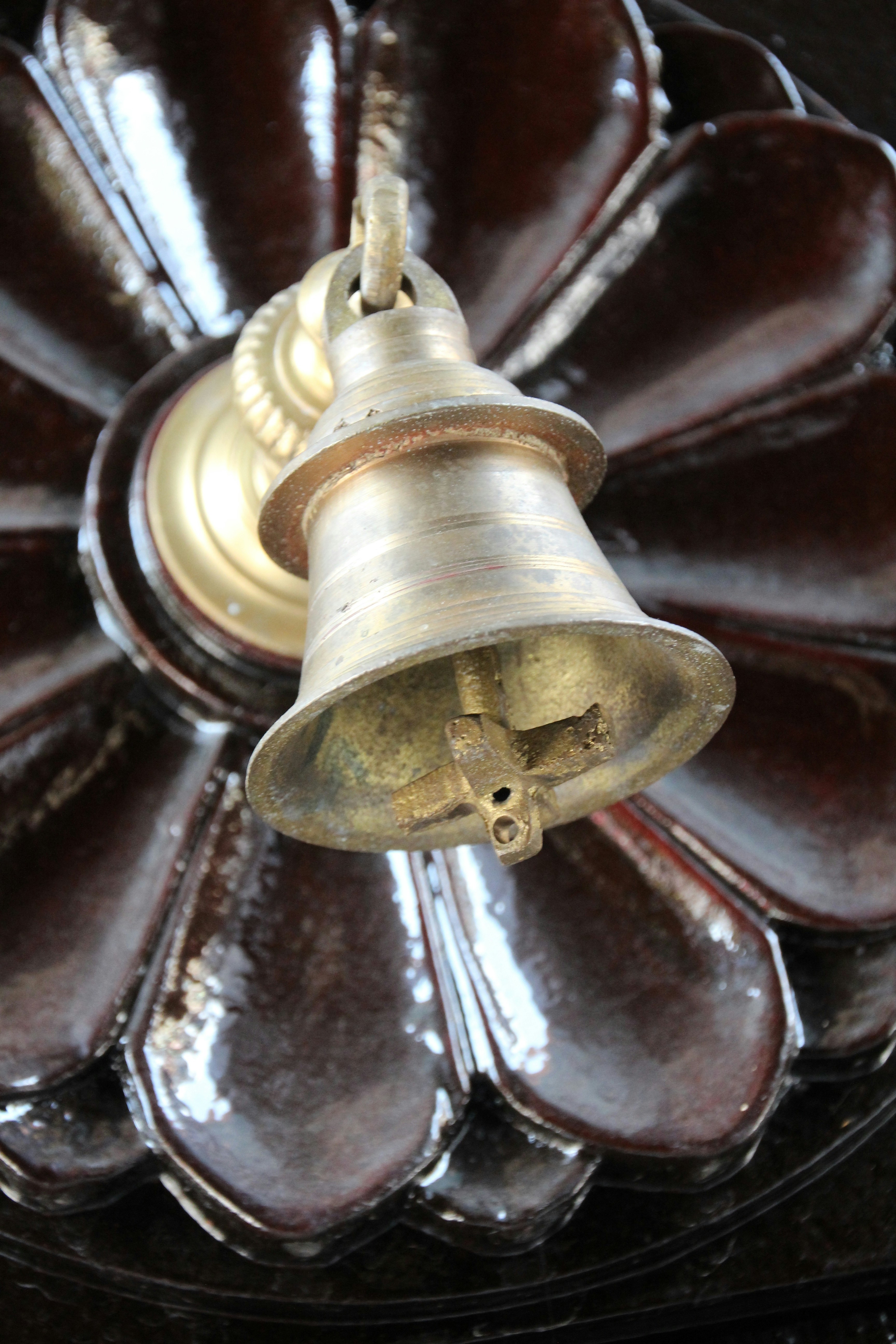 Close-Up of a Vintage Brass Lamp Bell Nestled in a Chocolate-Gloss Petal Shade