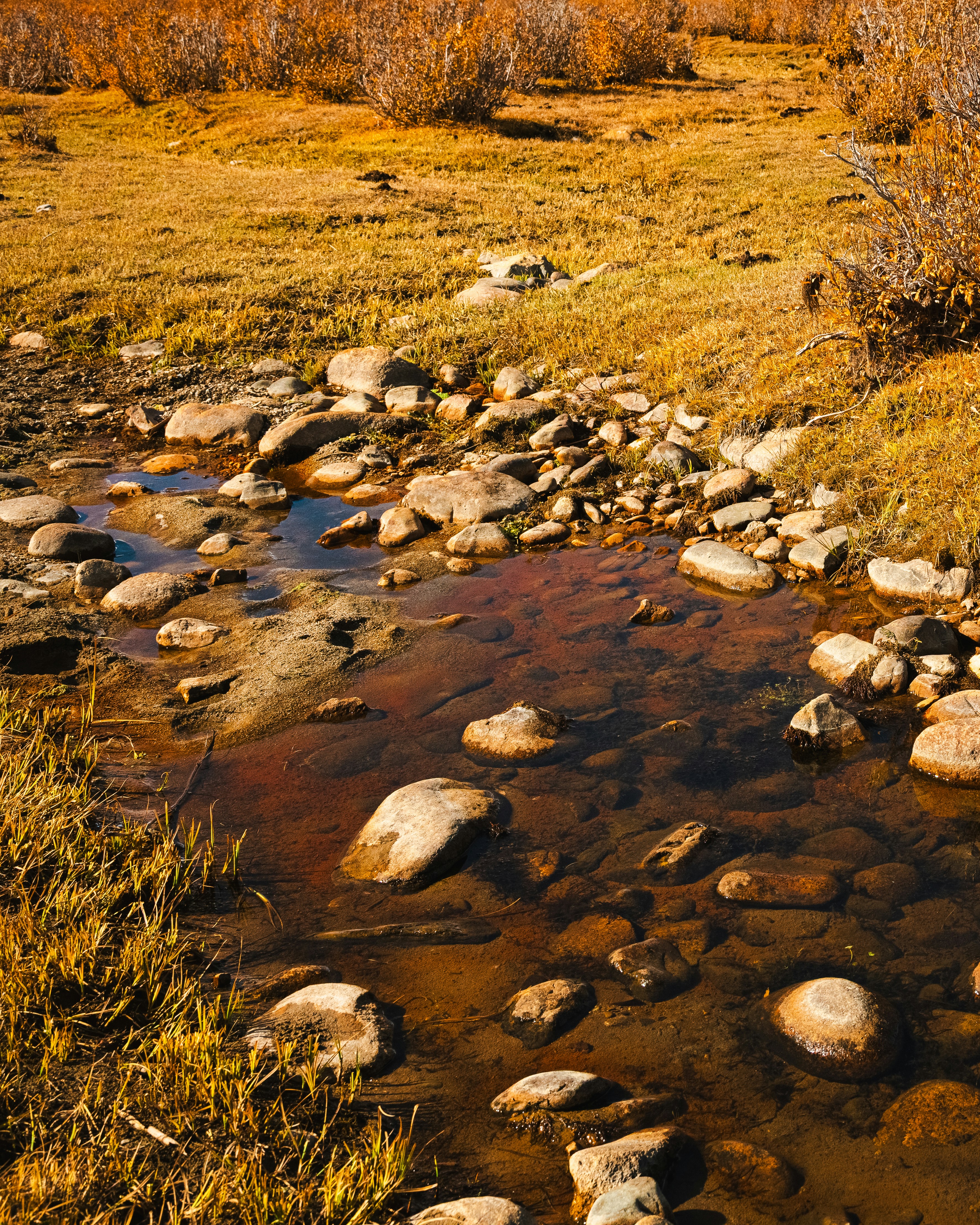 Autumn Creek Meanders Through Golden Field