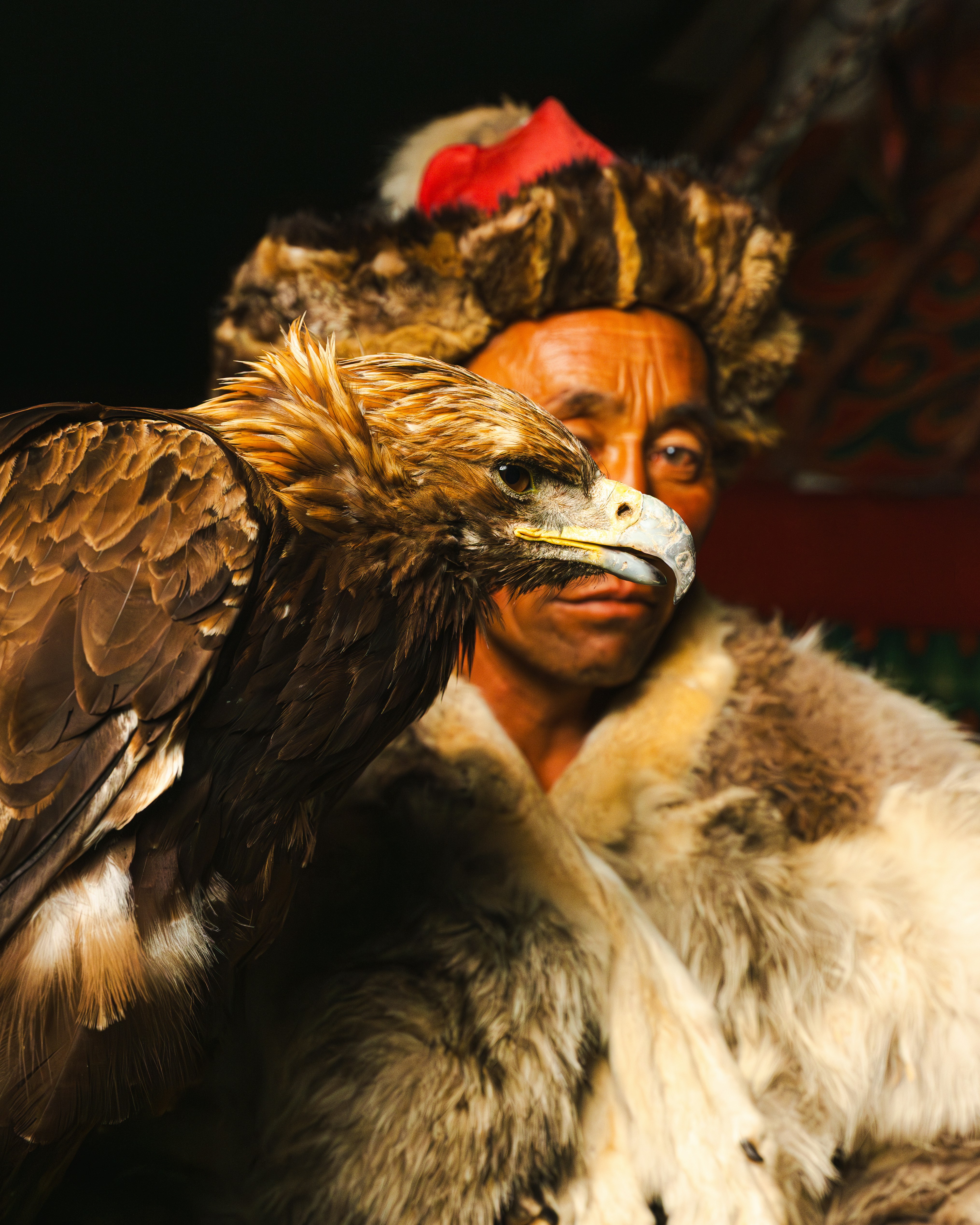 Feathered Proximity: An Eagle Close-Up Before a Fur-Clad Performer