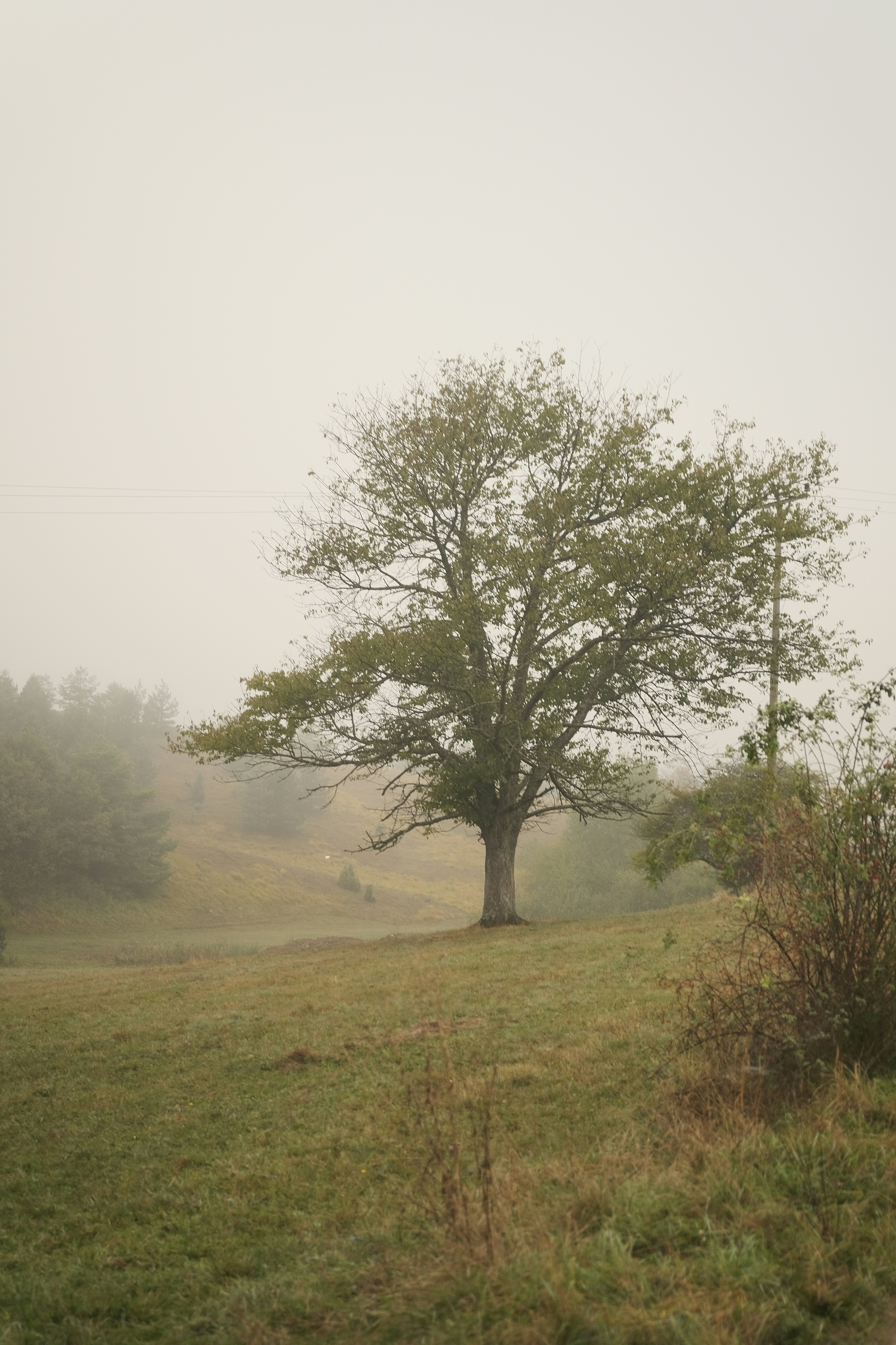 Photo by Anton Luk with Fujifilm X-T4