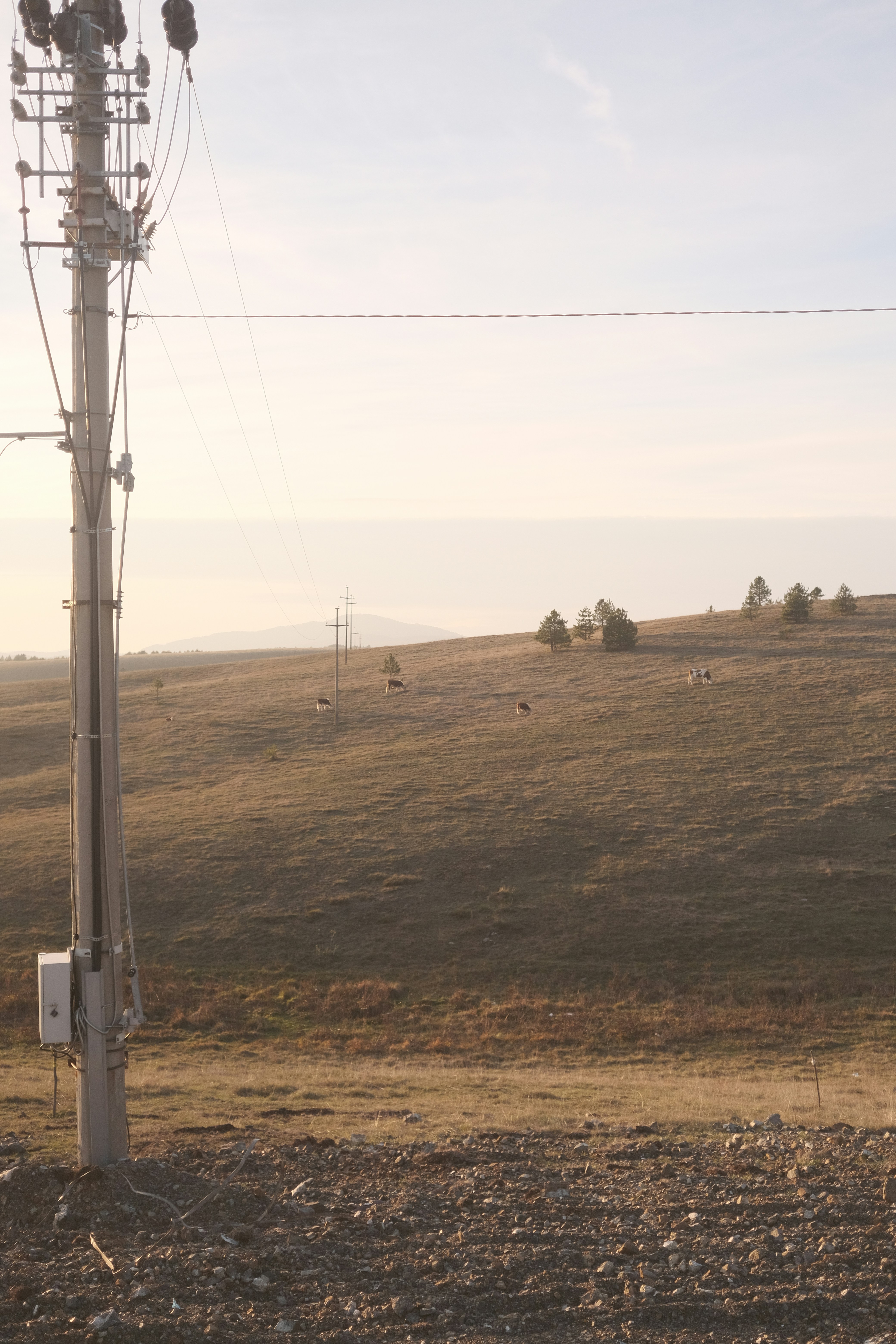 Photo by Anton Luk with Fujifilm X-T4