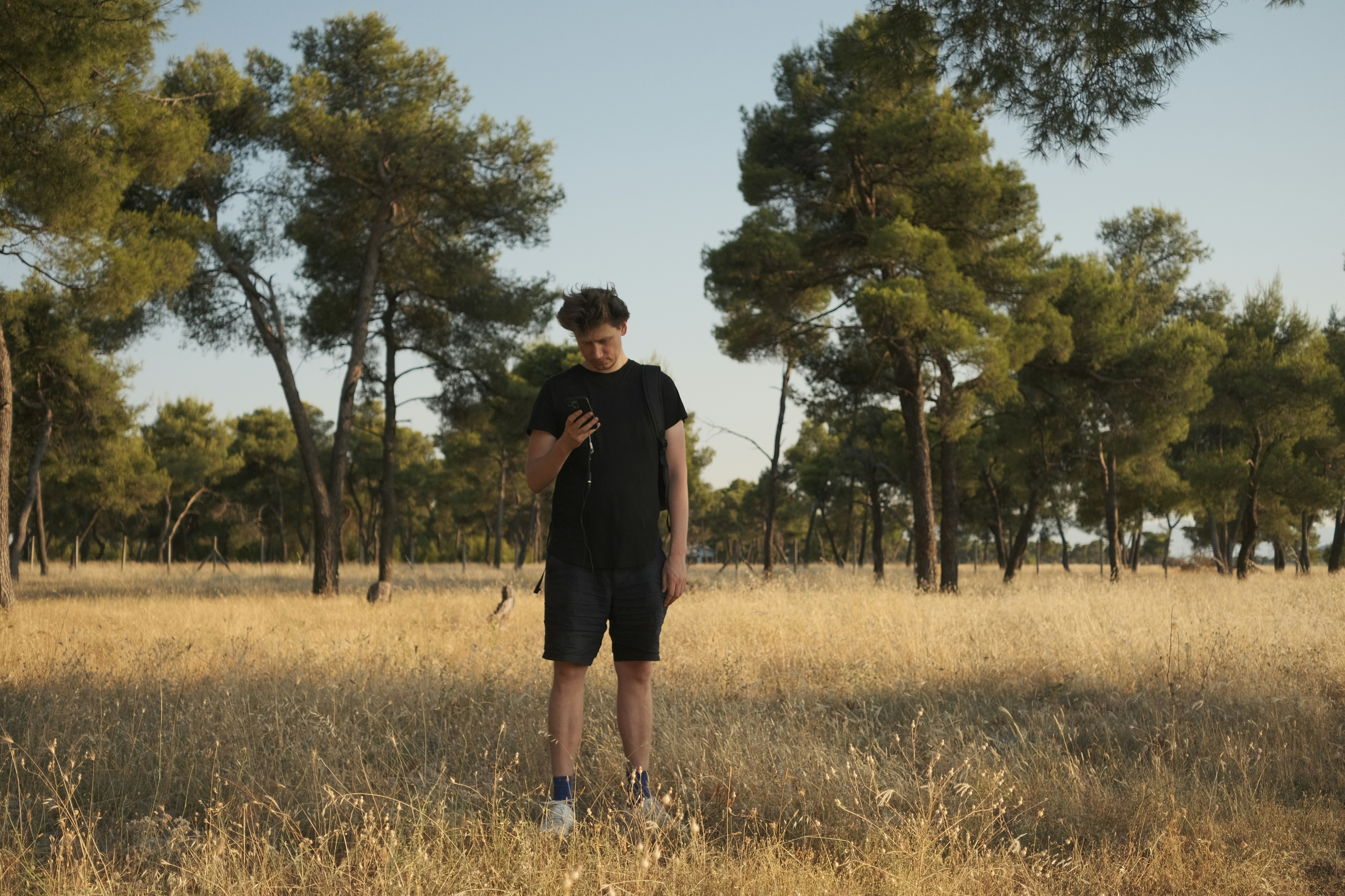 Man standing in a sunlit field, engrossed in a handheld device, surrounded by towering trees.