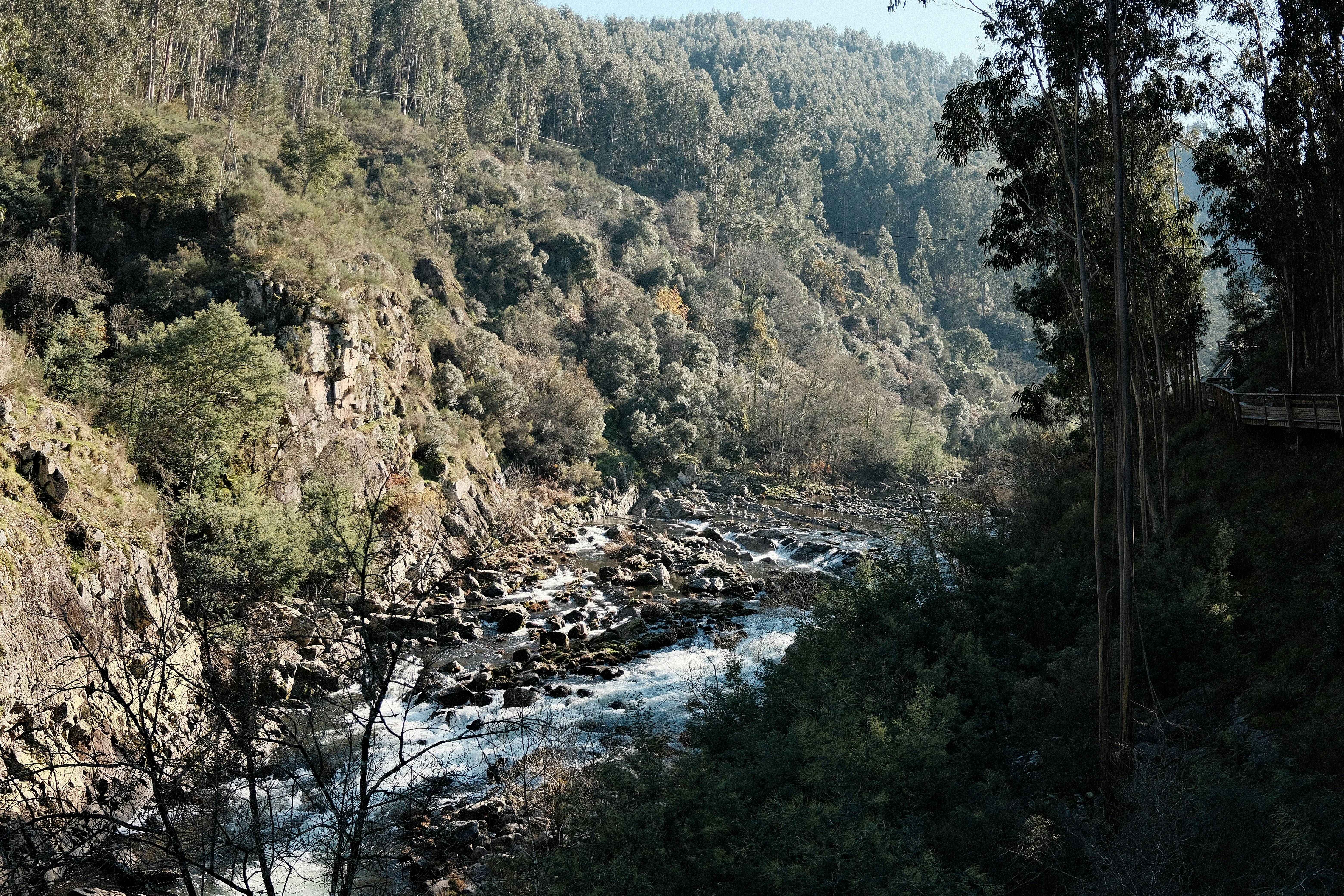 Une rivière impétueuse coule à travers un paysage rocheux. photo ...